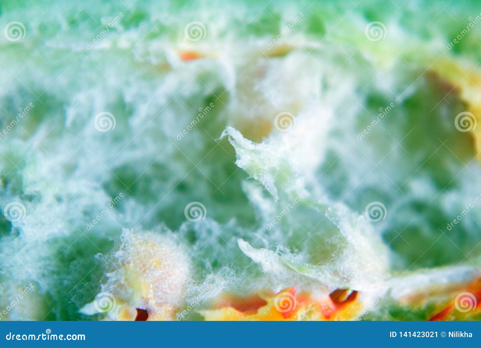 Bitter gourd inside stock image. Image of closeup, food - 141423021