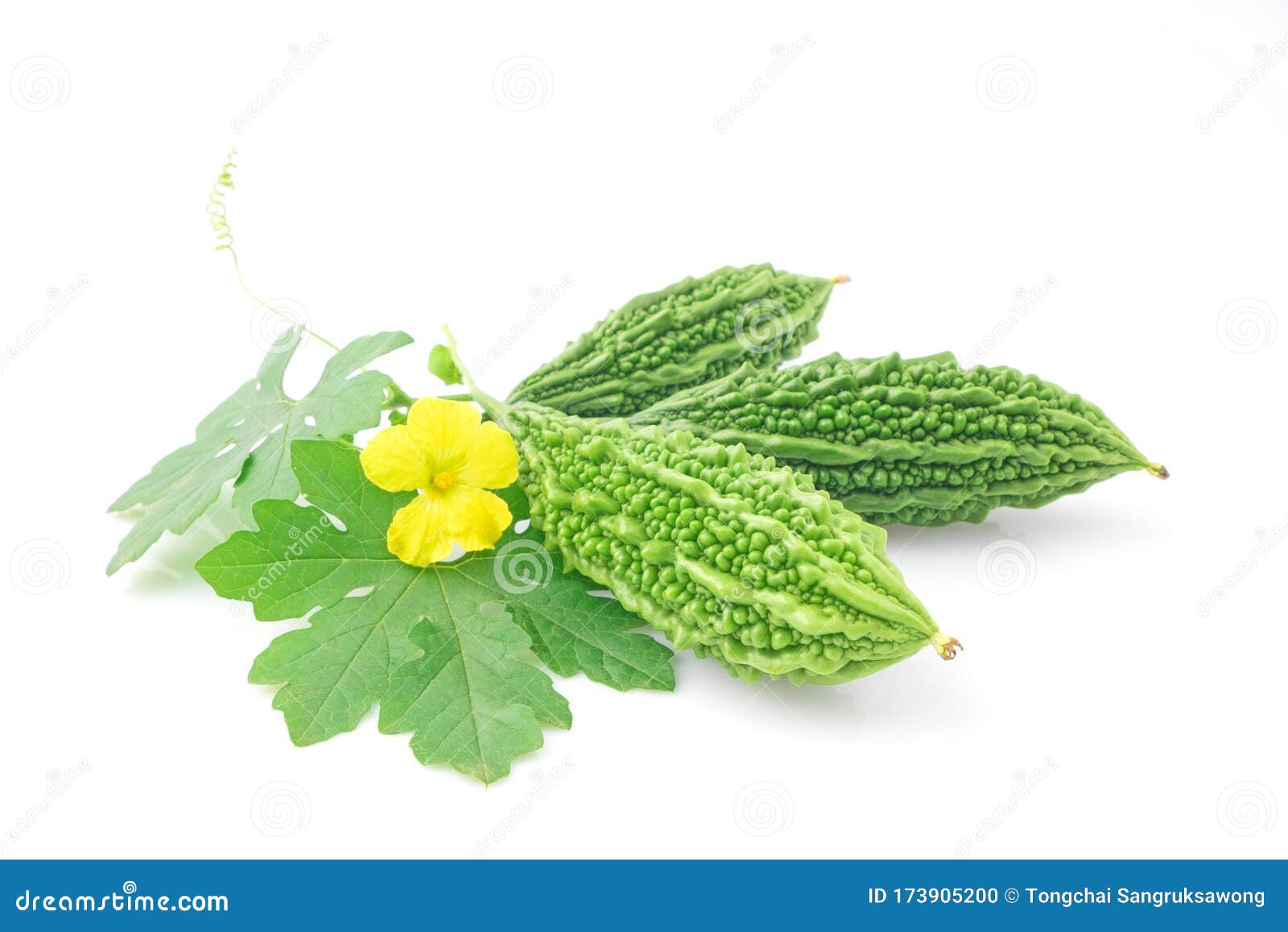 Gourd On White Stock Image | CartoonDealer.com #4123189