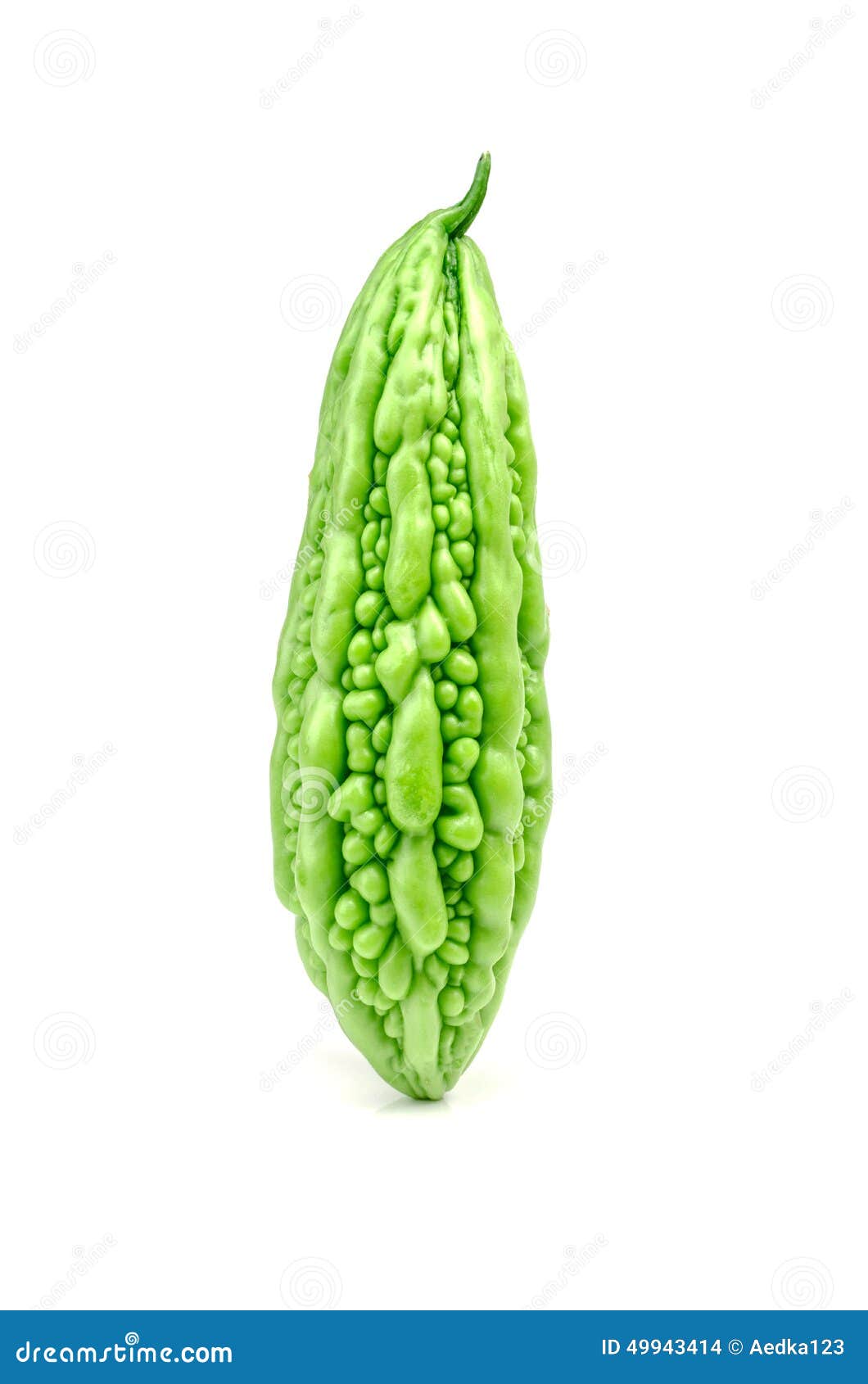 Bitter gourd stock photo. Image of macro, nature, pieces - 49943414