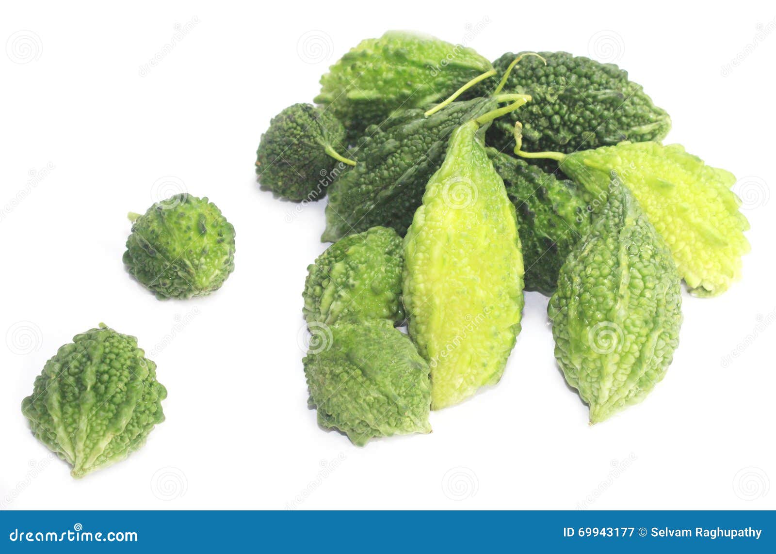 Bitter gourd stock image. Image of green, bittergourd - 69943177