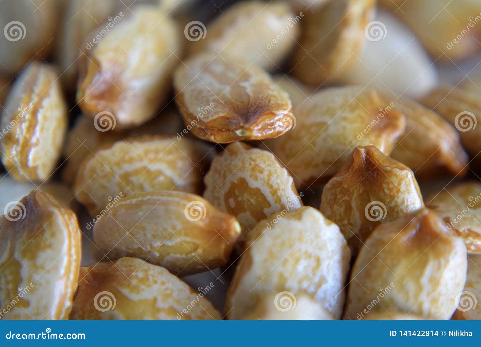 Bitter gourd seeds stock photo. Image of background - 141422814