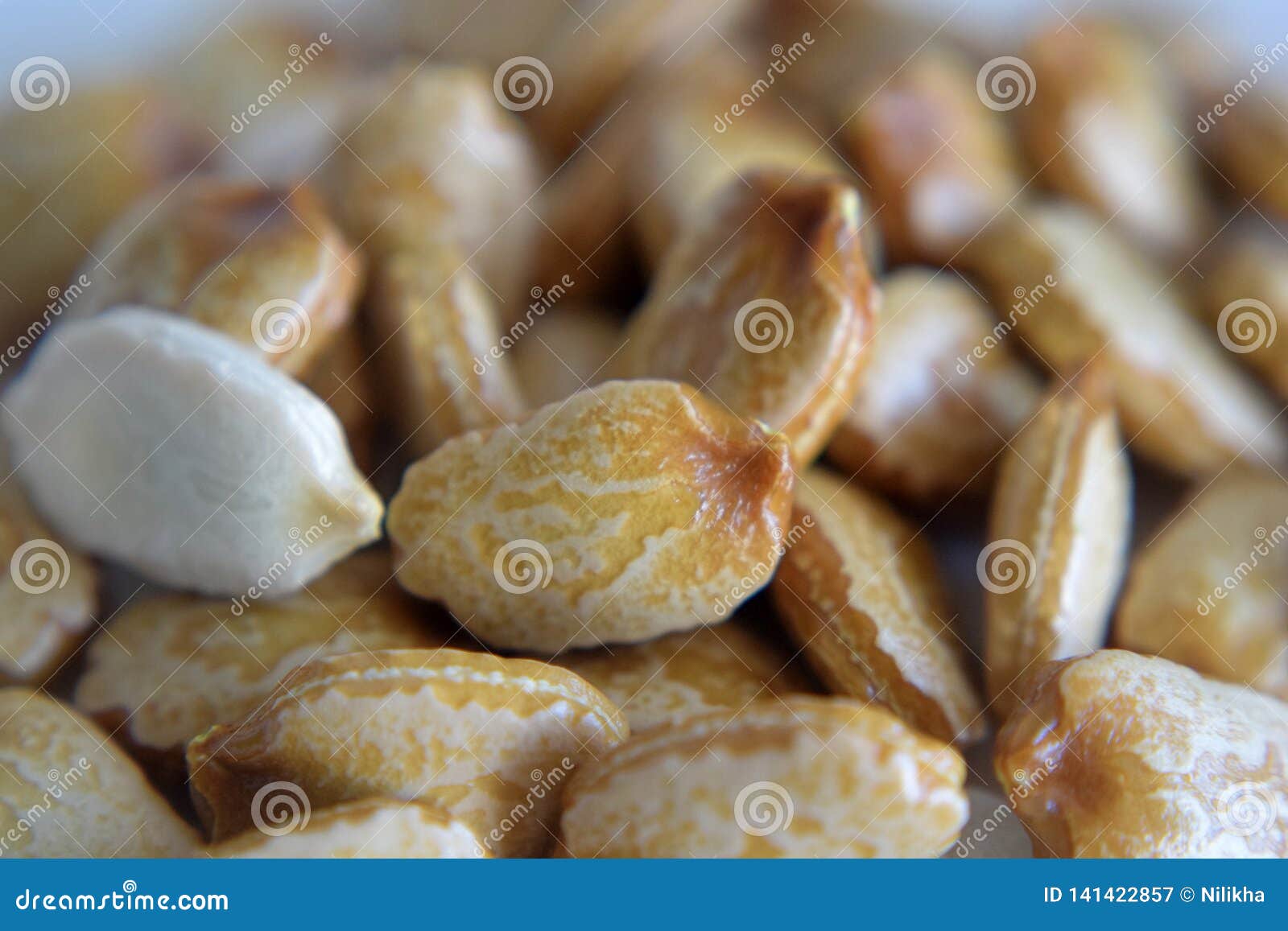 Bitter gourd seeds stock image. Image of plant, close - 141422857