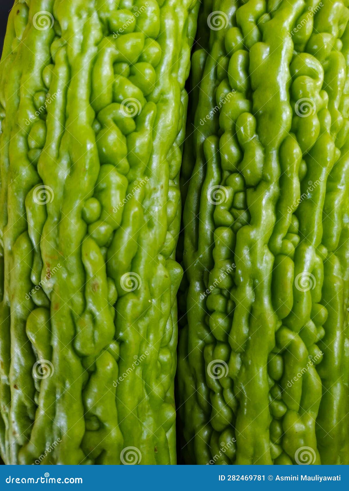Bitter Gourd Skin Surface Texture Stock Image - Image of green, leaf ...