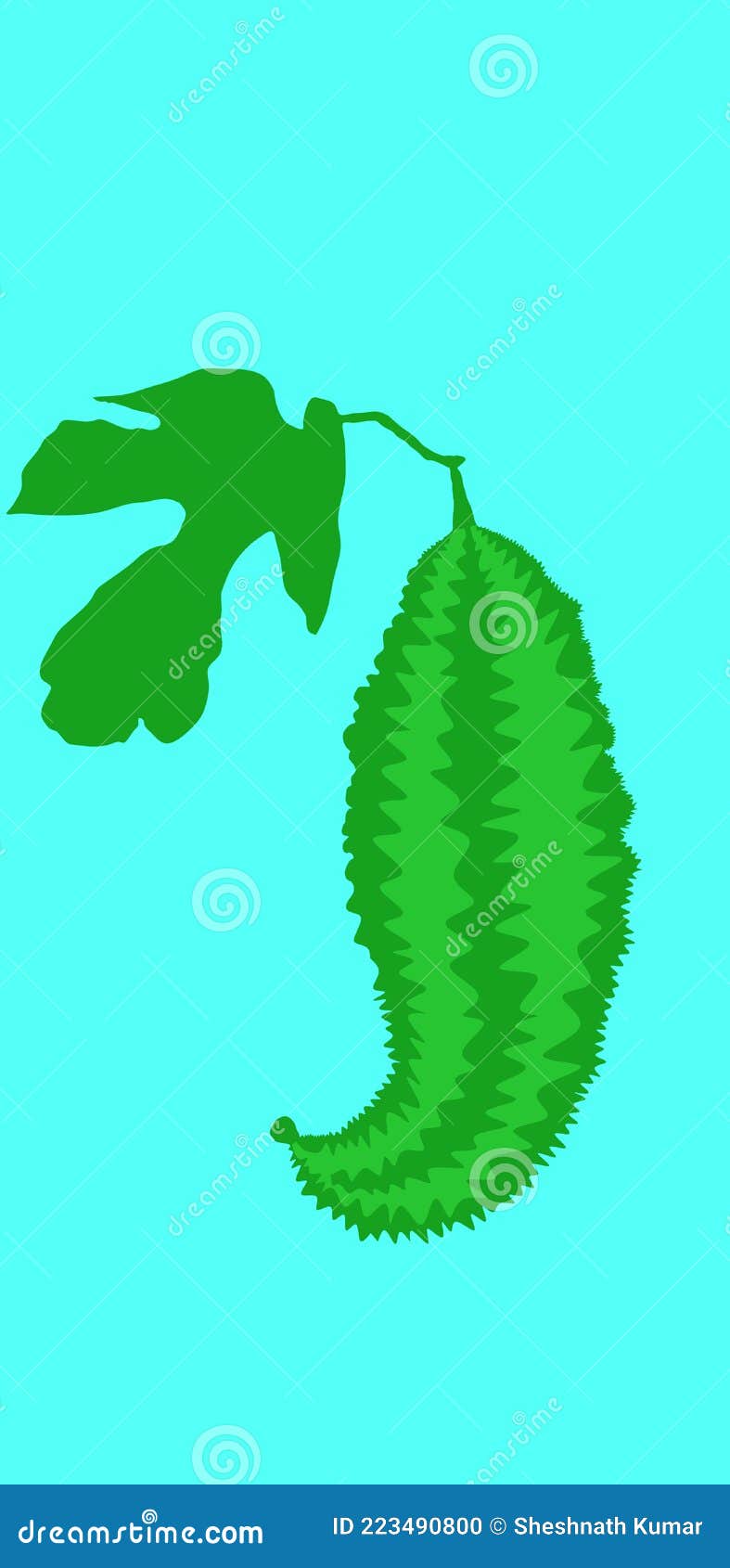 Bitter Gourd Texture Vector Picture Stock Illustration - Illustration ...