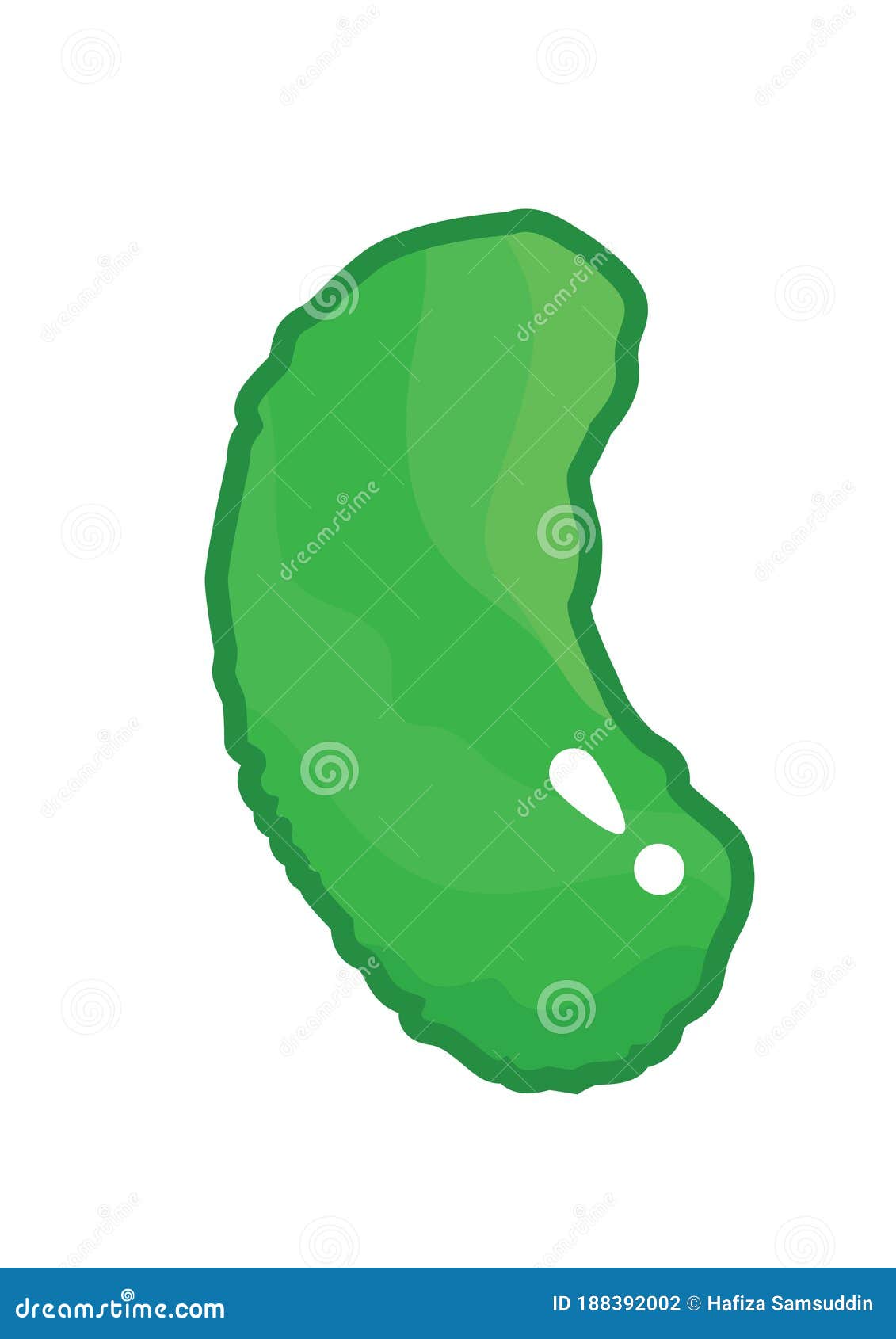 Bitter Gourd. Vector Illustration Decorative Design Stock Vector ...