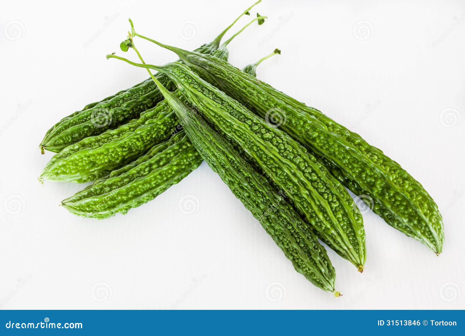 Bitter gourd stock photo. Image of nature, bitter, healthy - 31513846