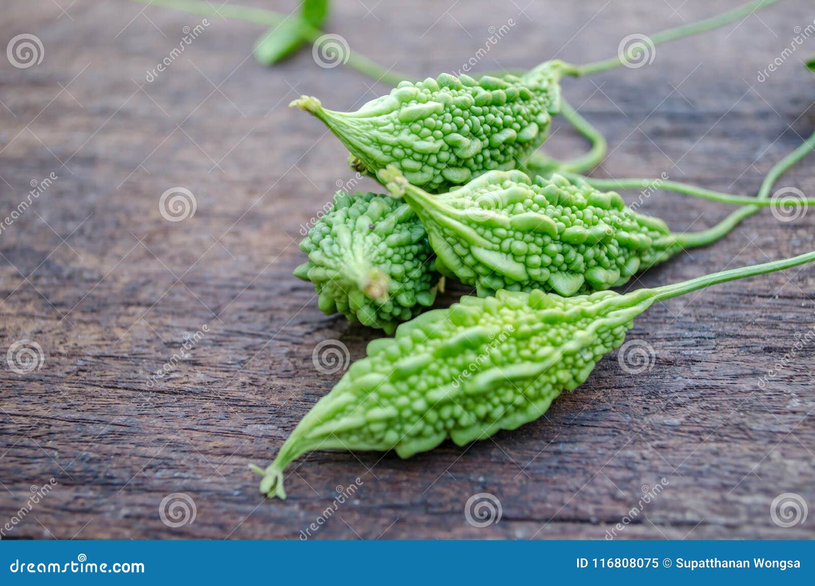 Bitter Gourd, Gourd Fruits Have Medicinal Properties. Stock Image ... Bitter Gourd, Gourd Fruits Have Medicinal Properties. Stock Image ...