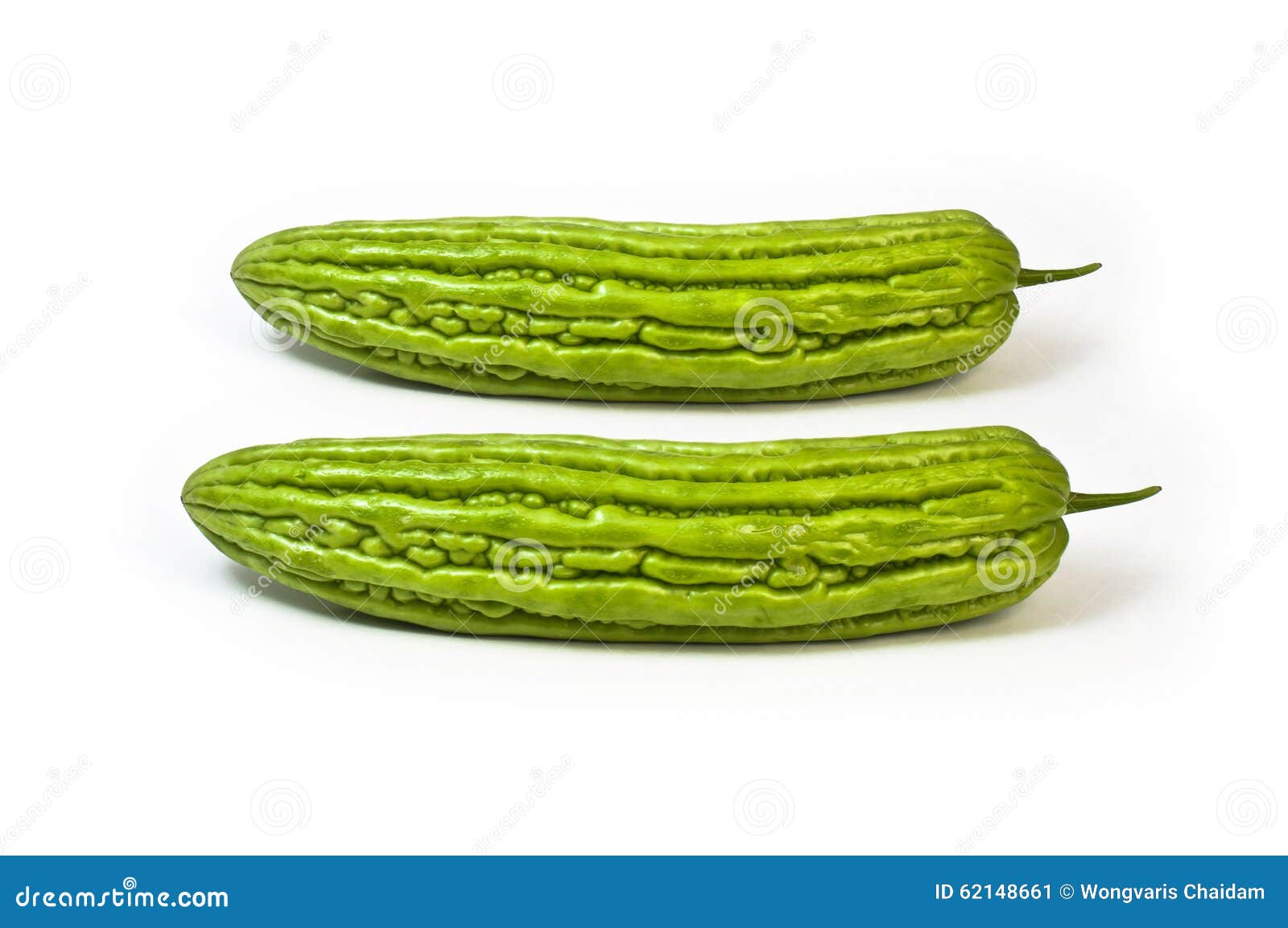 A bitter herb stock image. Image of herbs, heat, swelling - 62148661