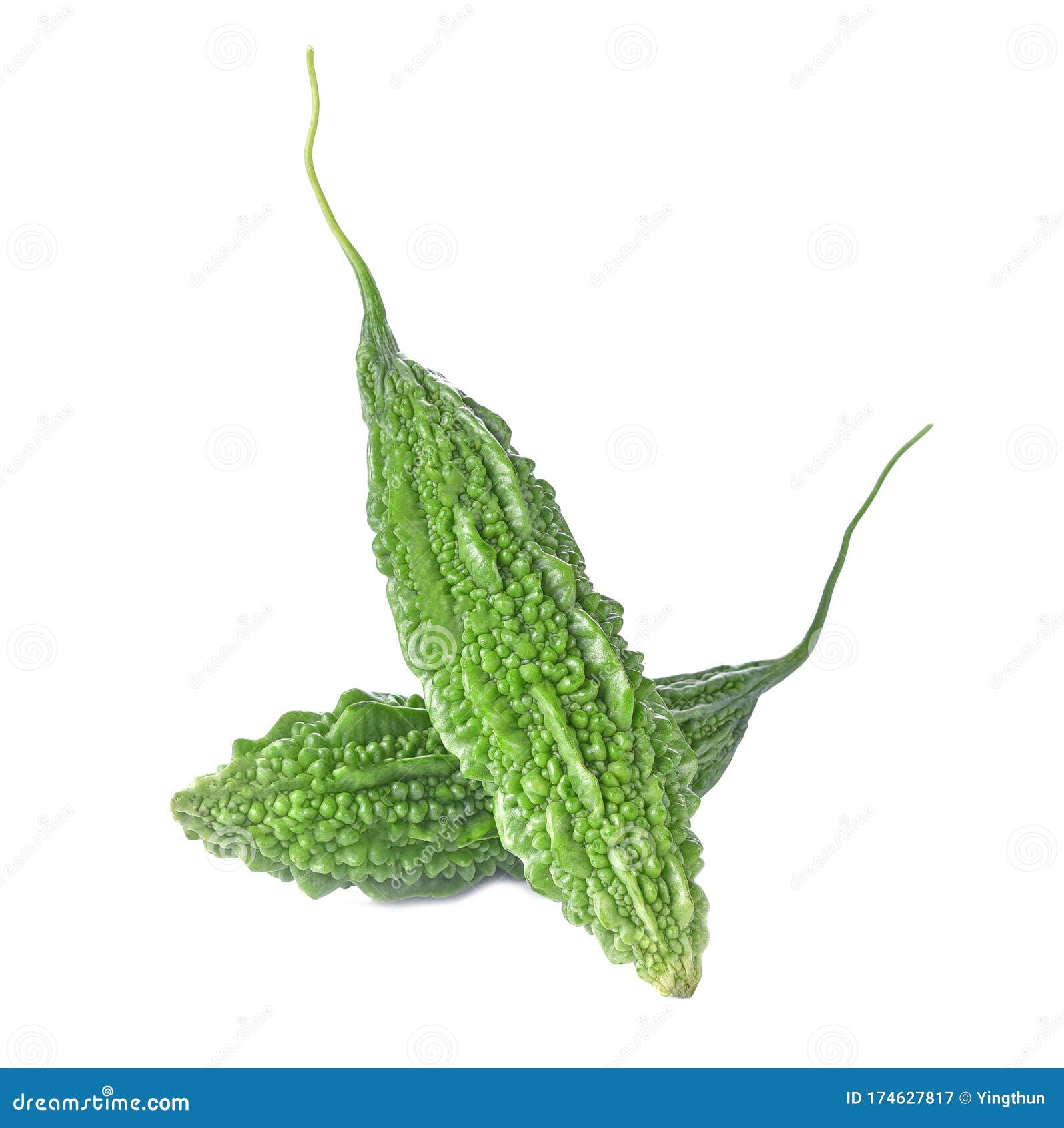 Bitter Vegetable with White on Background Stock Image - Image of ...