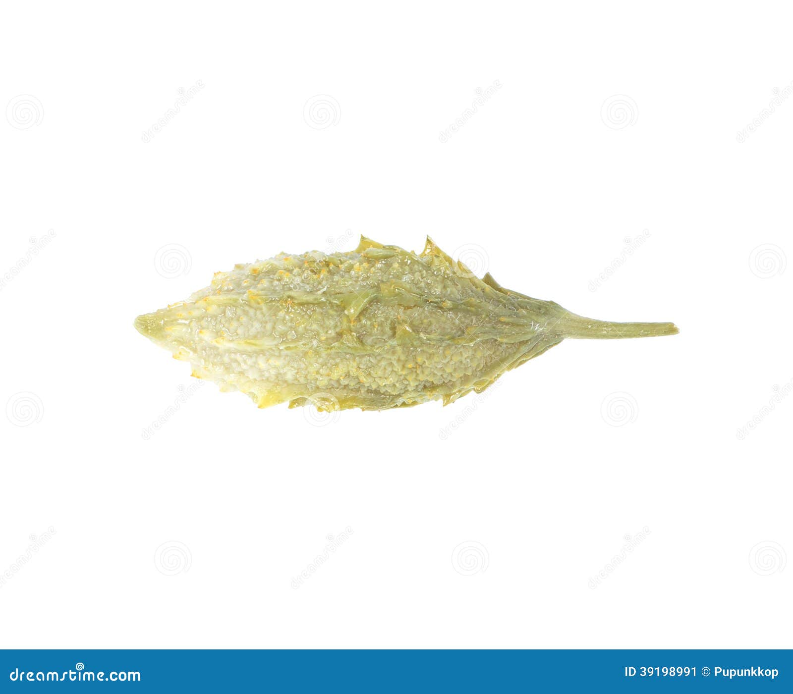 Bitter isolated stock image. Image of closeup, background - 39198991