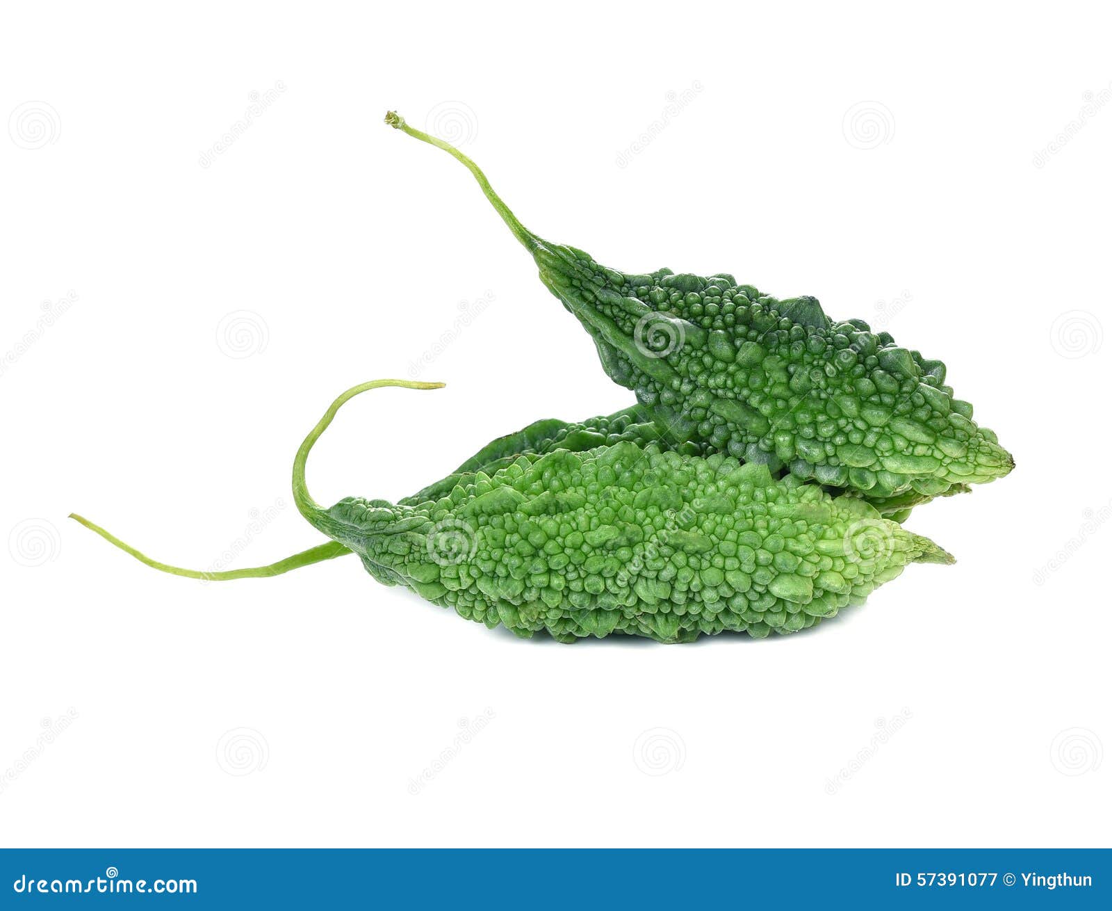 Bitter Isolated with White Background Stock Image - Image of delicious ...