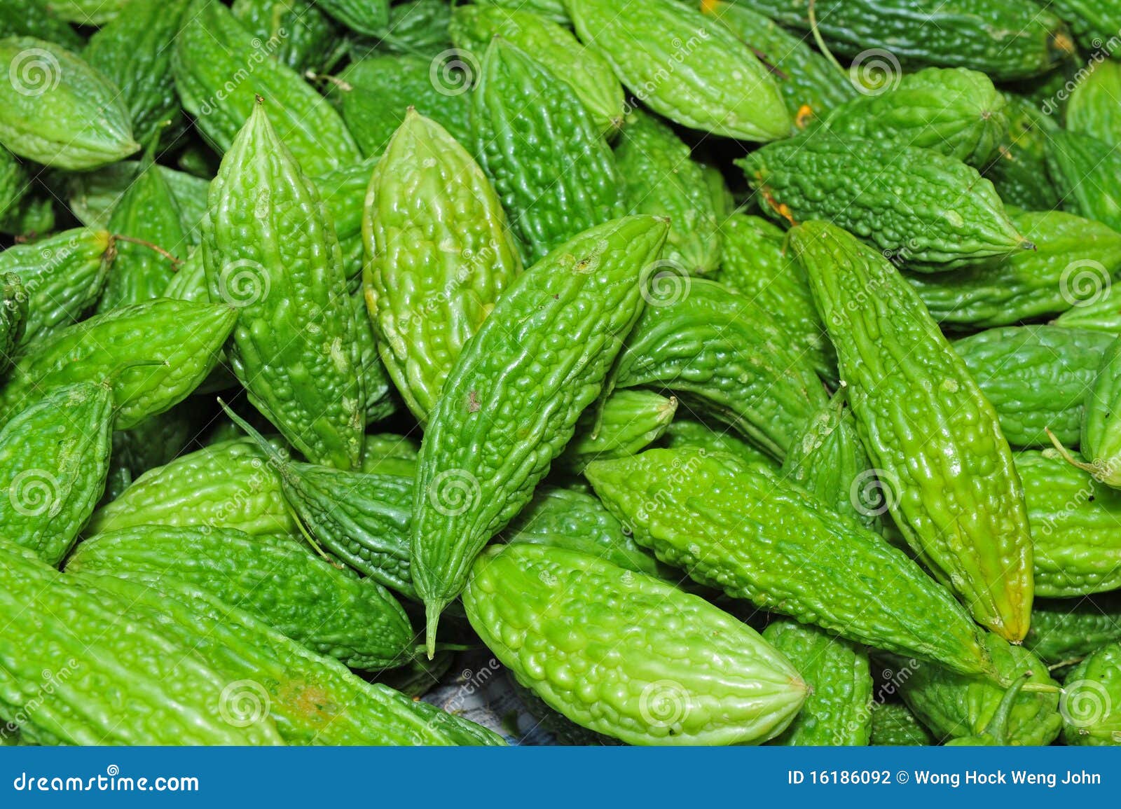 Bitter kalebass arkivfoto. Bild av livsmedelsbutik, jordbruk - 16186092