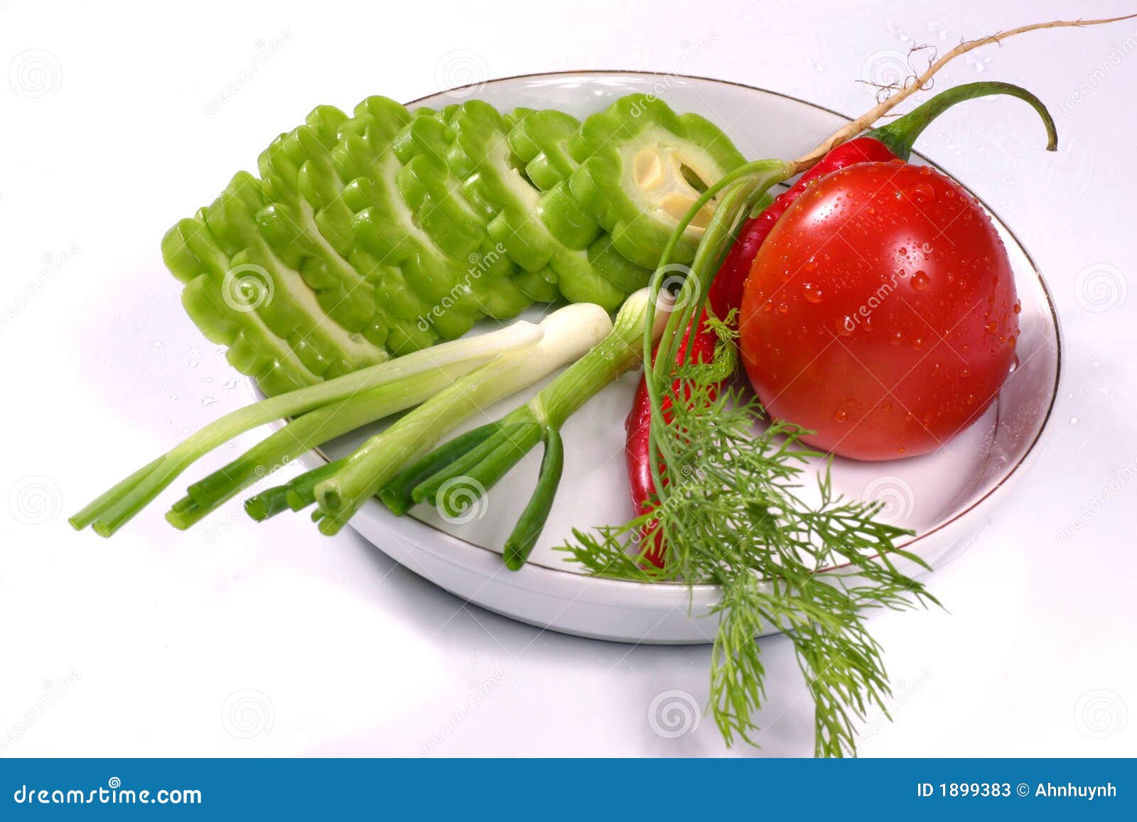 Bitter Lemon, Tomato, Dill, Chilli and Green Spring Onion Stock Image ...