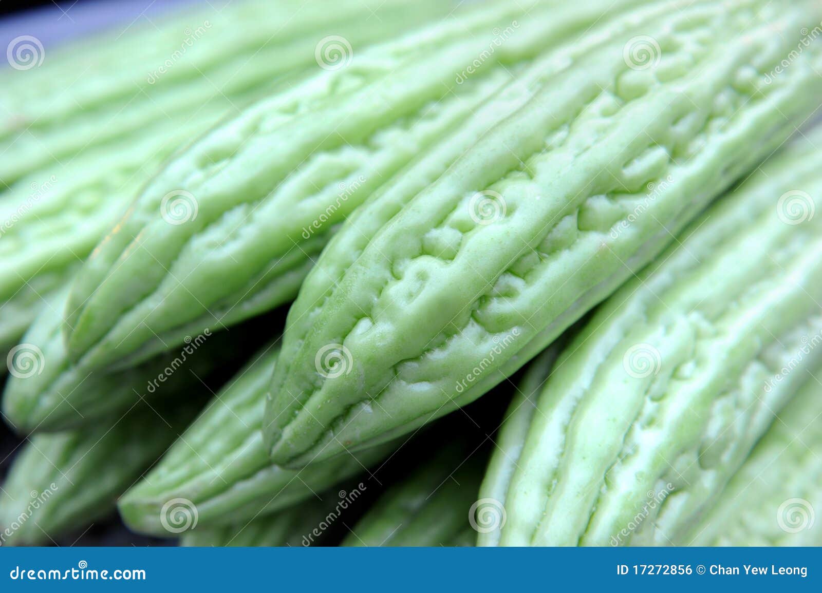 Bitter Melon Gourd Isolated On White Background Royalty-Free Stock ...
