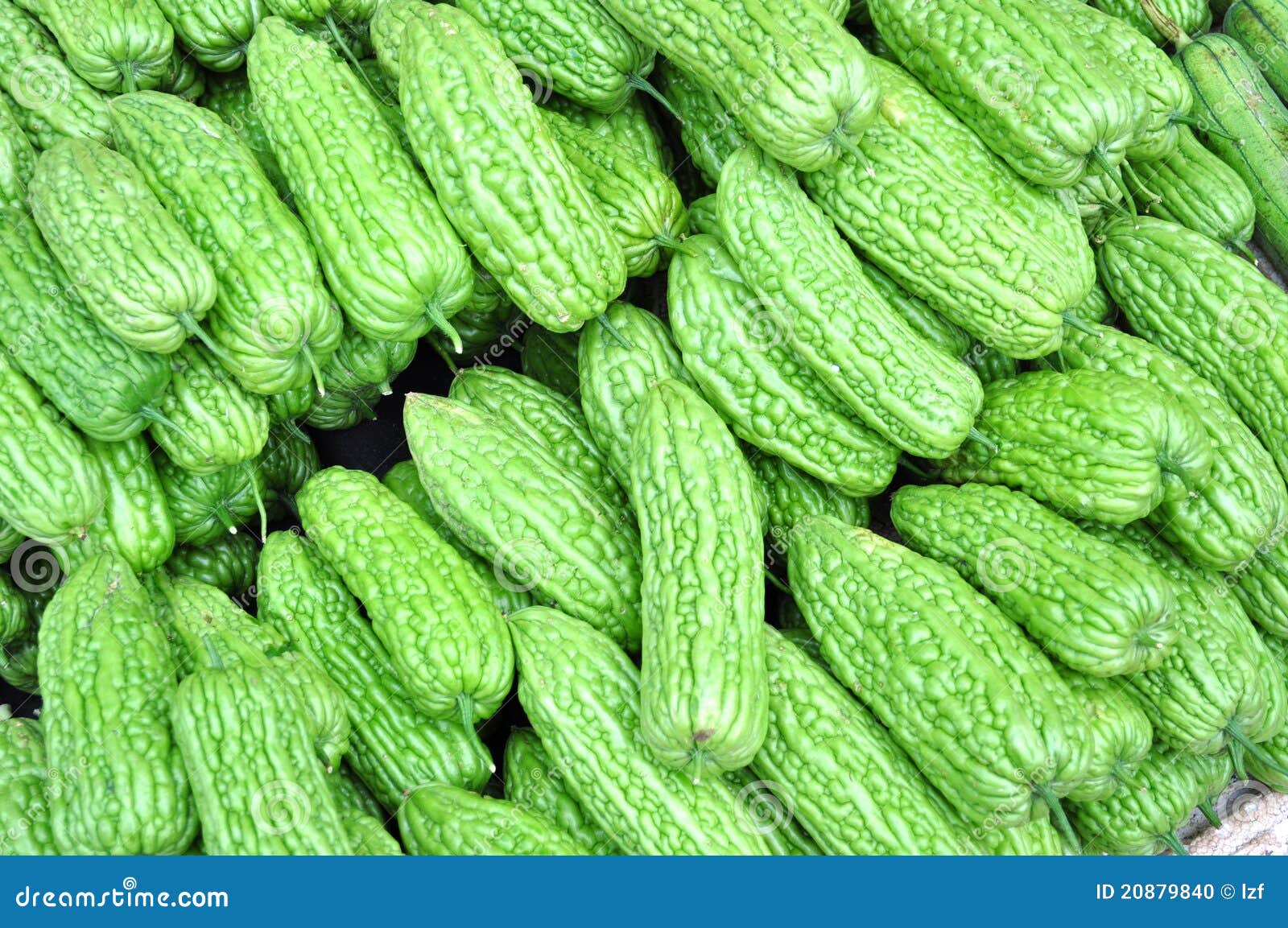 Bitter melon stock photo. Image of food, balsam, shop - 20879840