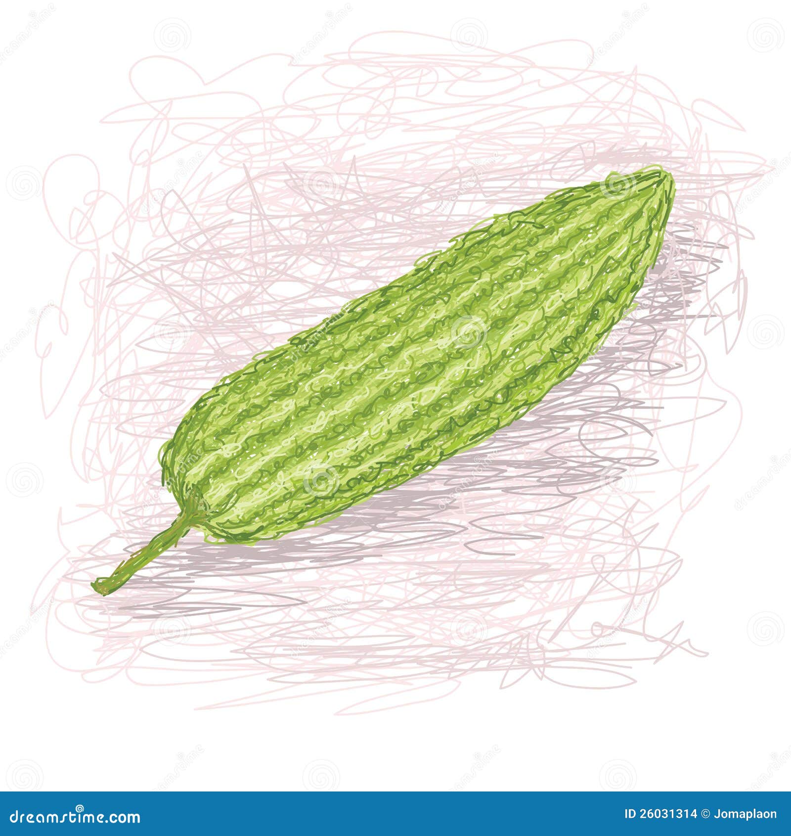 Bitter-melon stock vector. Illustration of carton, fresh - 26031314