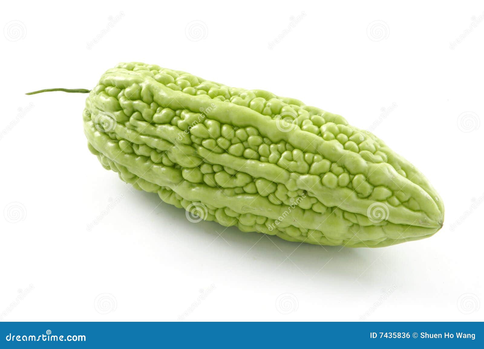 Bitter Melon Gourd Isolated On White Background Royalty-Free Stock ...