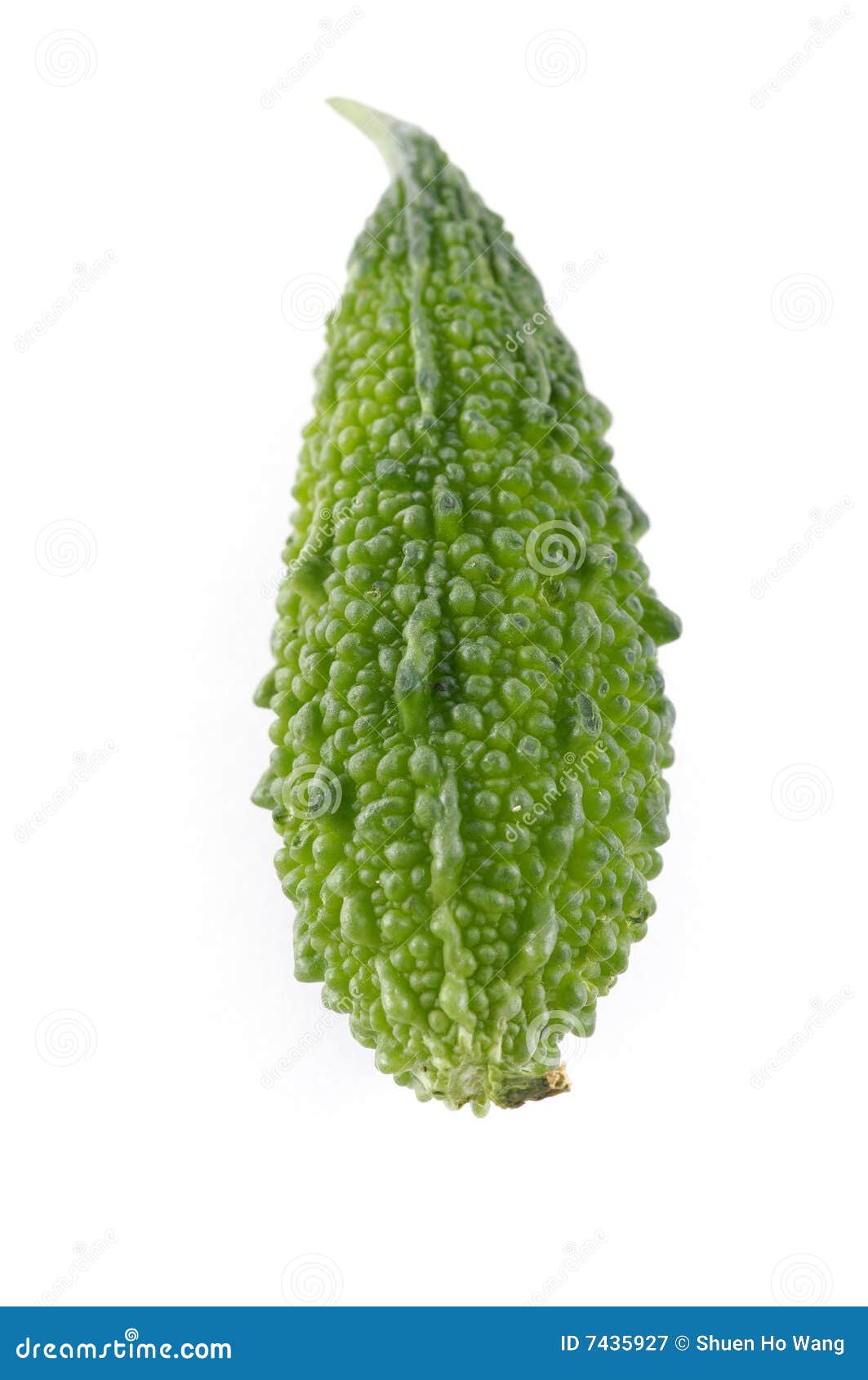 Bitter melon stock image. Image of taste, soup, diet, kitchen - 7435927