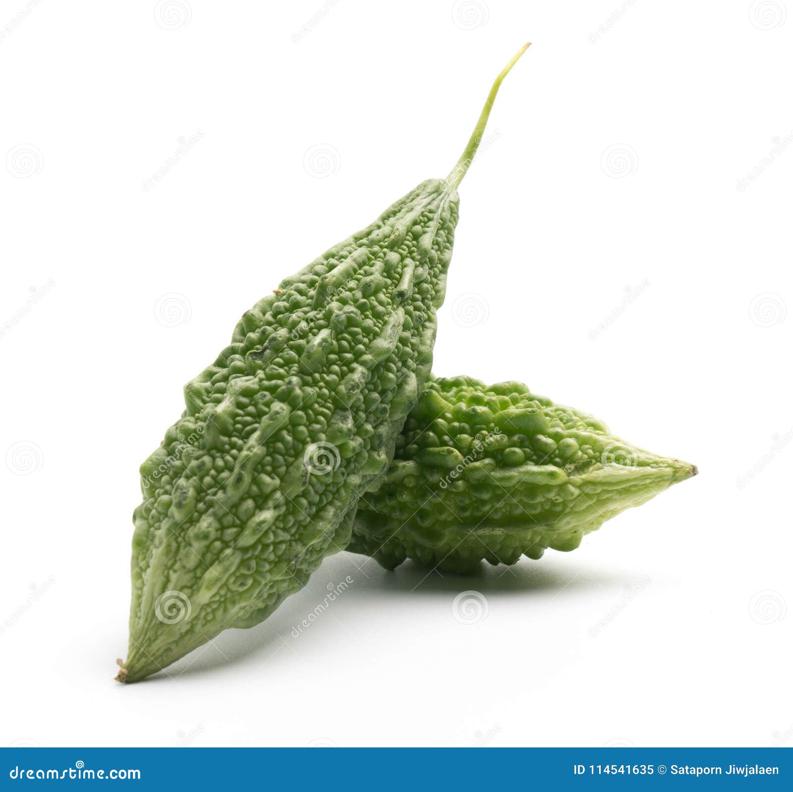 Bitter Melon Bitter Gourd Bitter Squash Fruit Isolated Stock Image ...