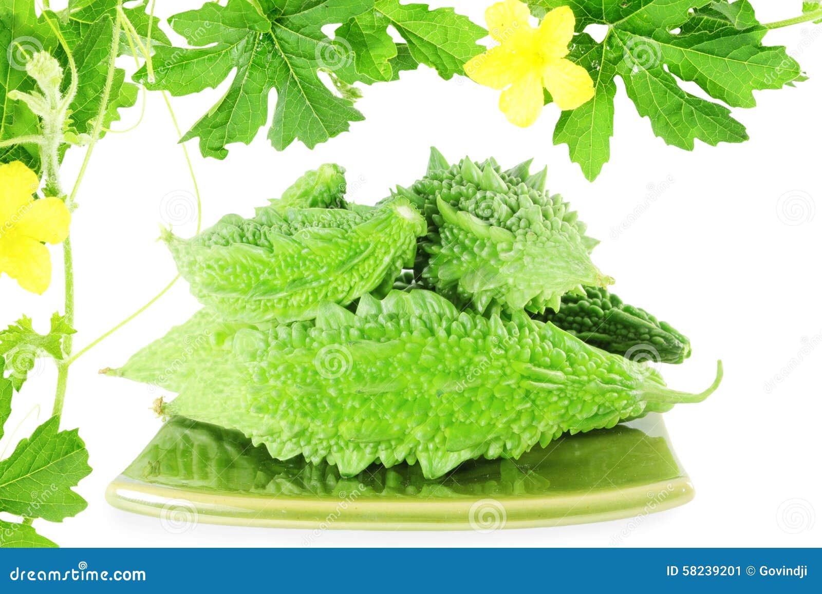 Bitter Melon or Bitter Gourd with Plant Stock Image - Image of fiber ...