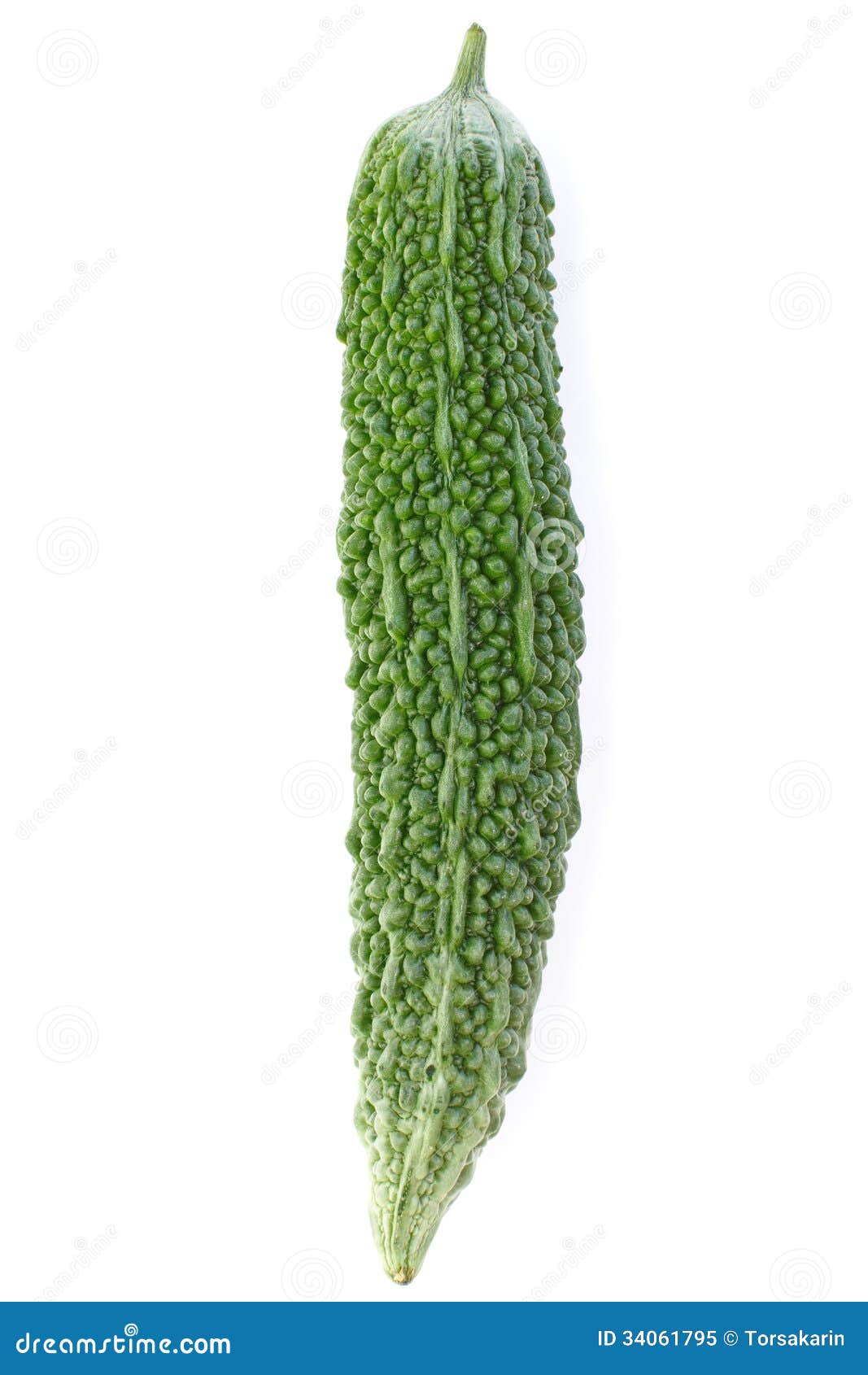 Bitter Melon , Bitter Gourd Stock Image - Image of natural, baby: 34061795