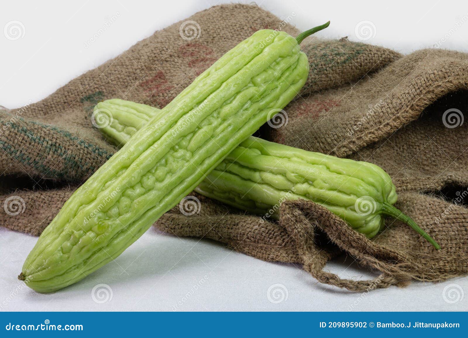 Sackson White Background Stock Photos - Free & Royalty-Free Stock ...