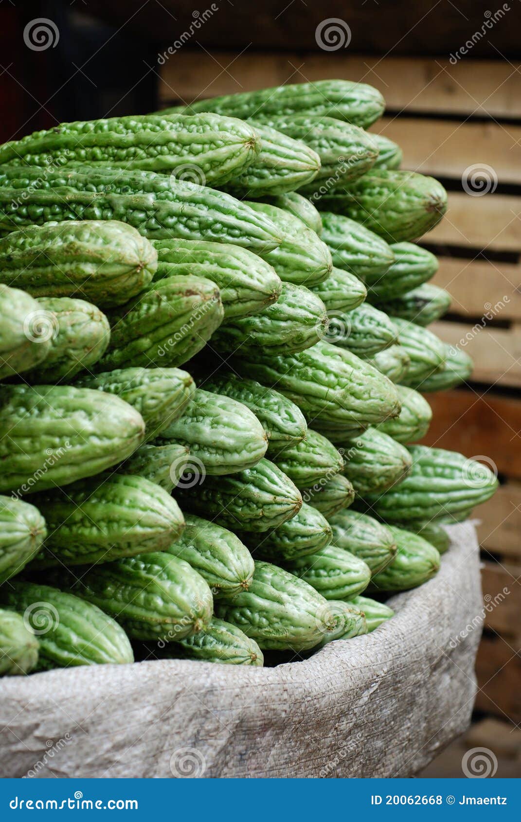 Bitter Melon Gourd Isolated On White Background Royalty-Free Stock ...