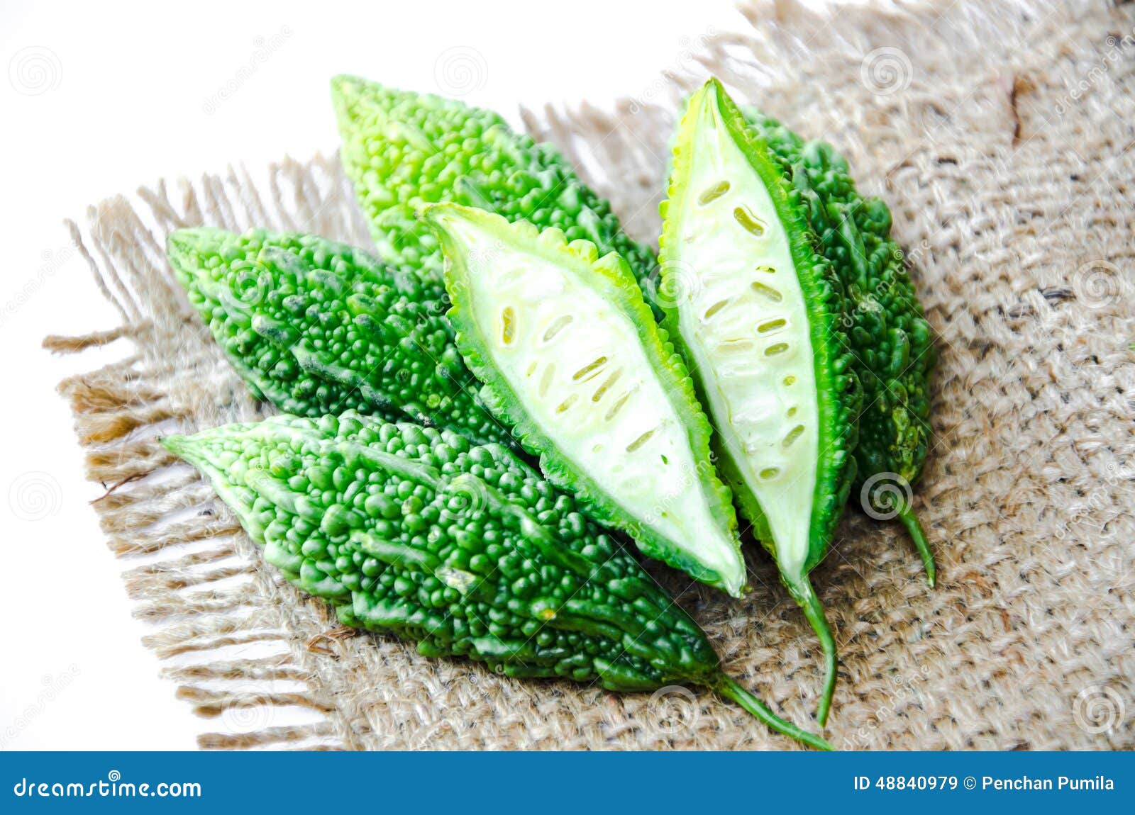 Bitter melon stock image. Image of nature, sack, food - 48840979