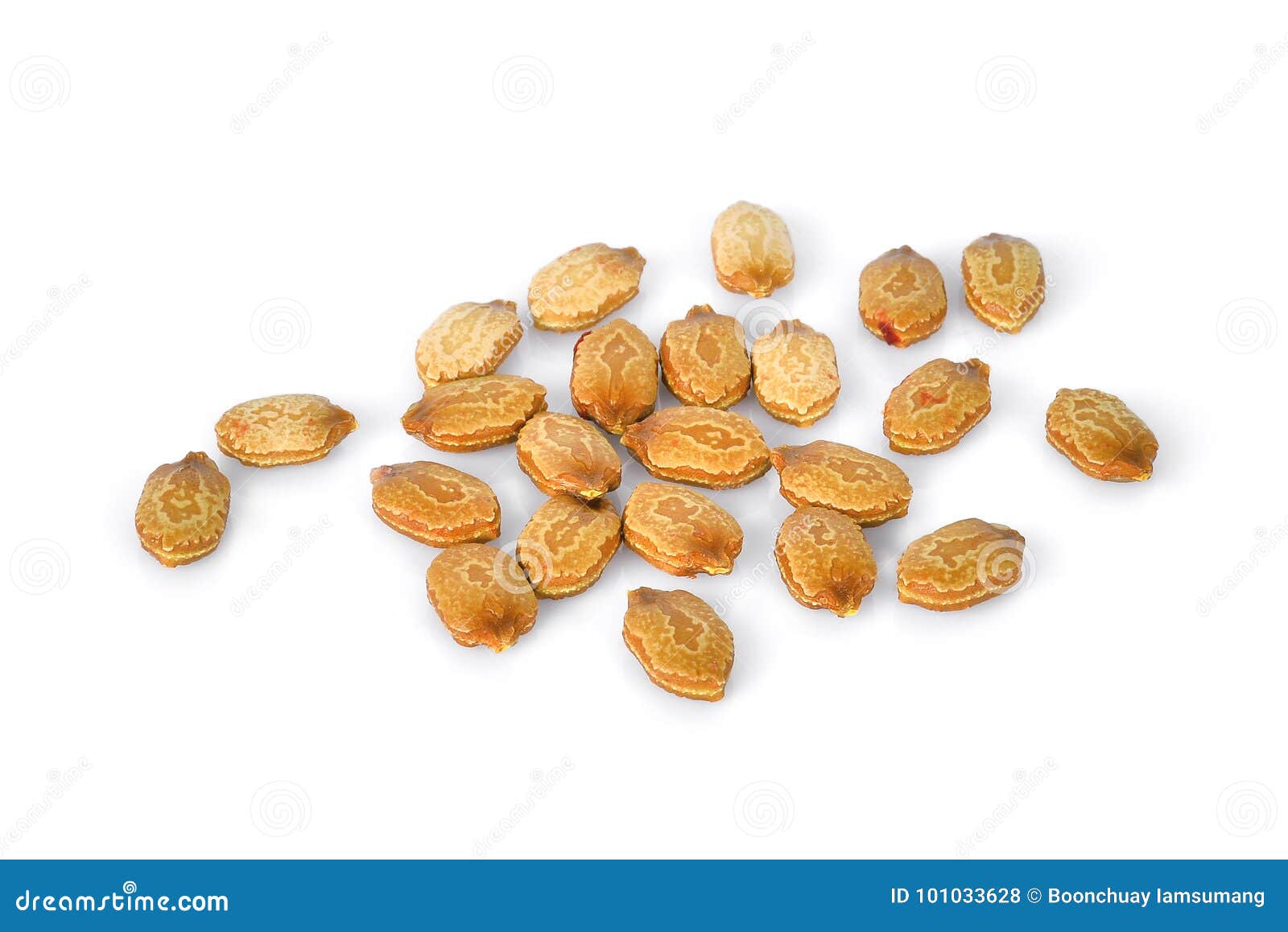 Bitter Melon Seeds Isolated on White Stock Photo - Image of delicious ...
