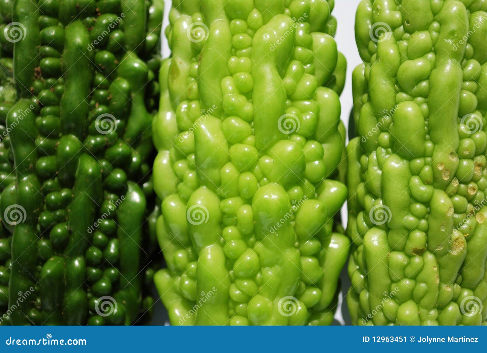 Saraseed Stock Photos - Free & Royalty-Free Stock Photos from Dreamstime