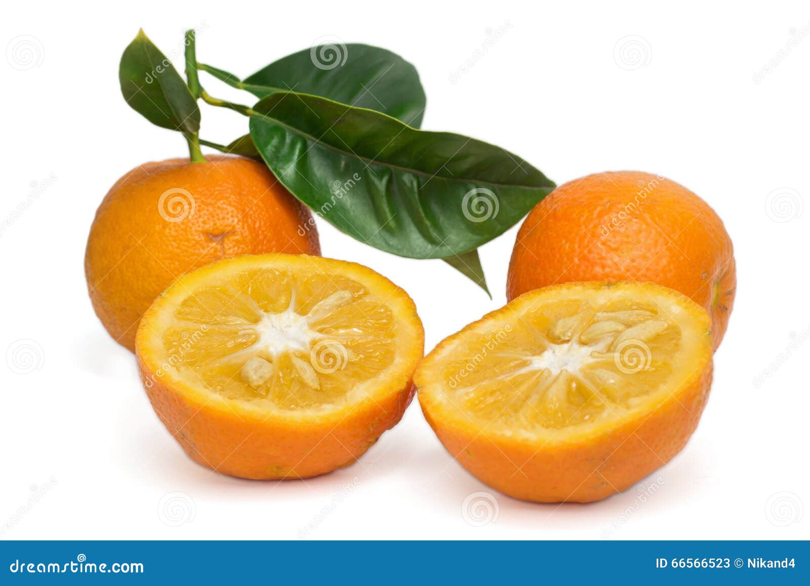 Bitter Orange stock image. Image of synephrine, ripe - 66566523