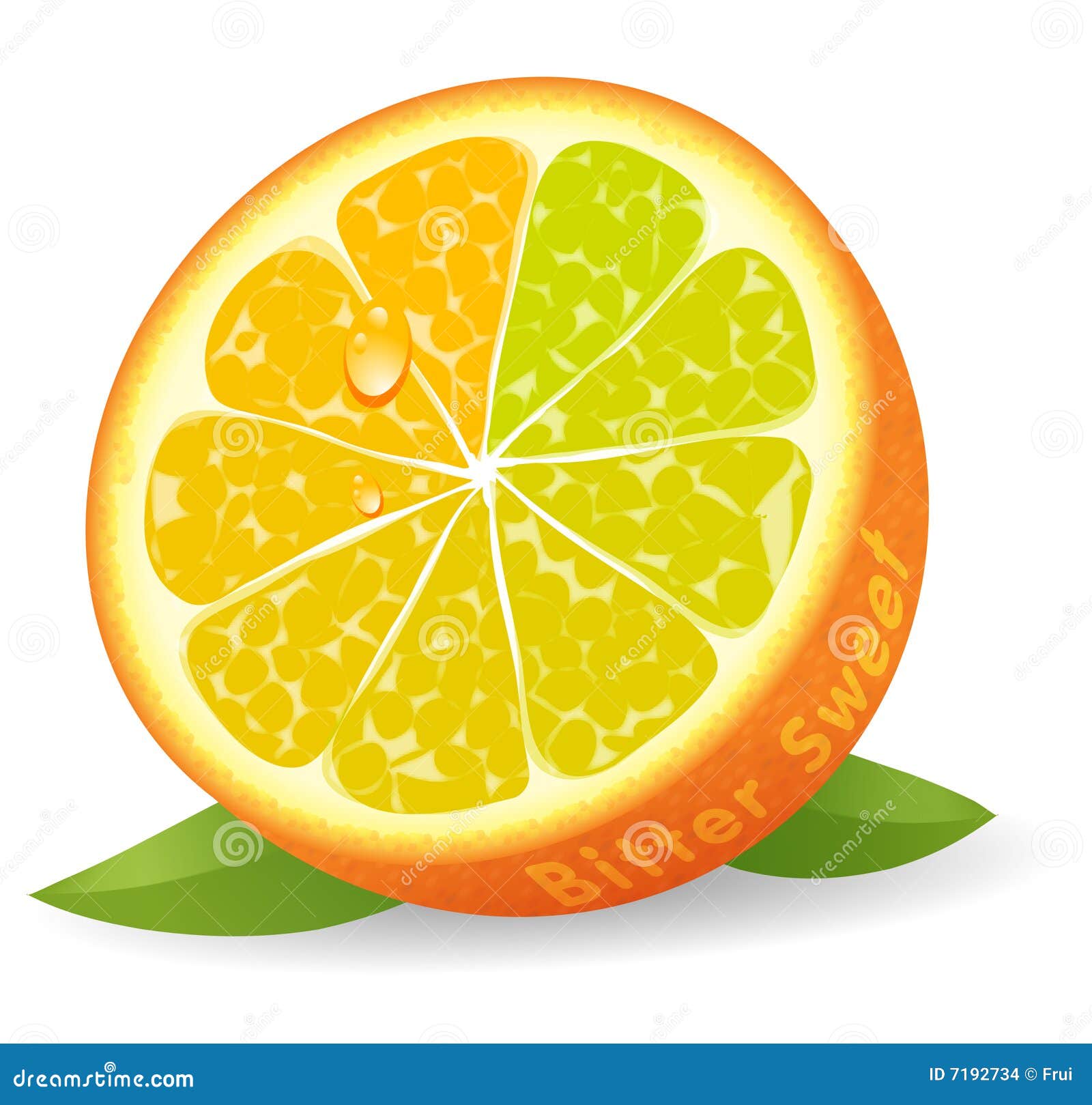 Bitter sweet orange stock vector. Illustration of healthy - 7192734