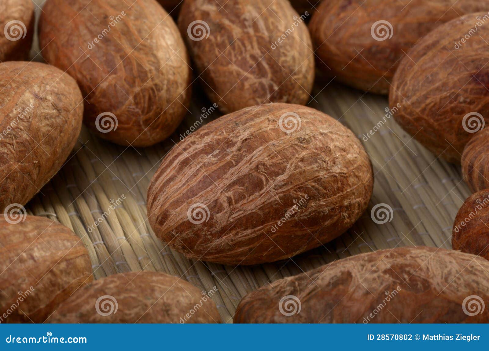 Bittercola nut stock photo. Image of epicatechin, background - 28570802