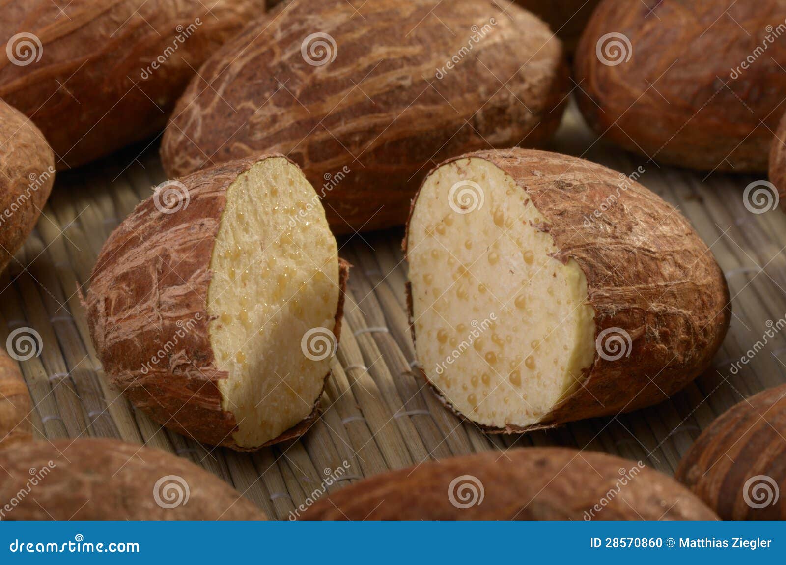 Bittercola nut open stock photo. Image of caffeine, cola - 28570860