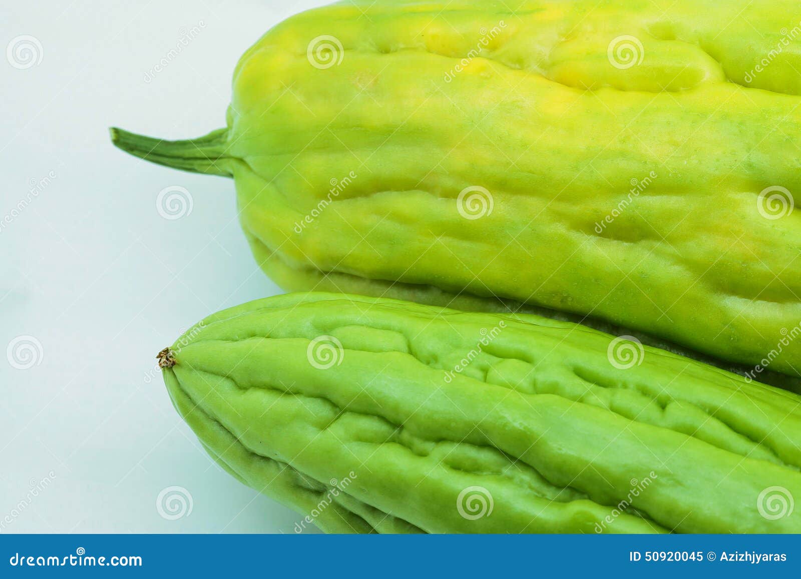 Bittergourd stock image. Image of isolated, balsam, closeup - 50920045