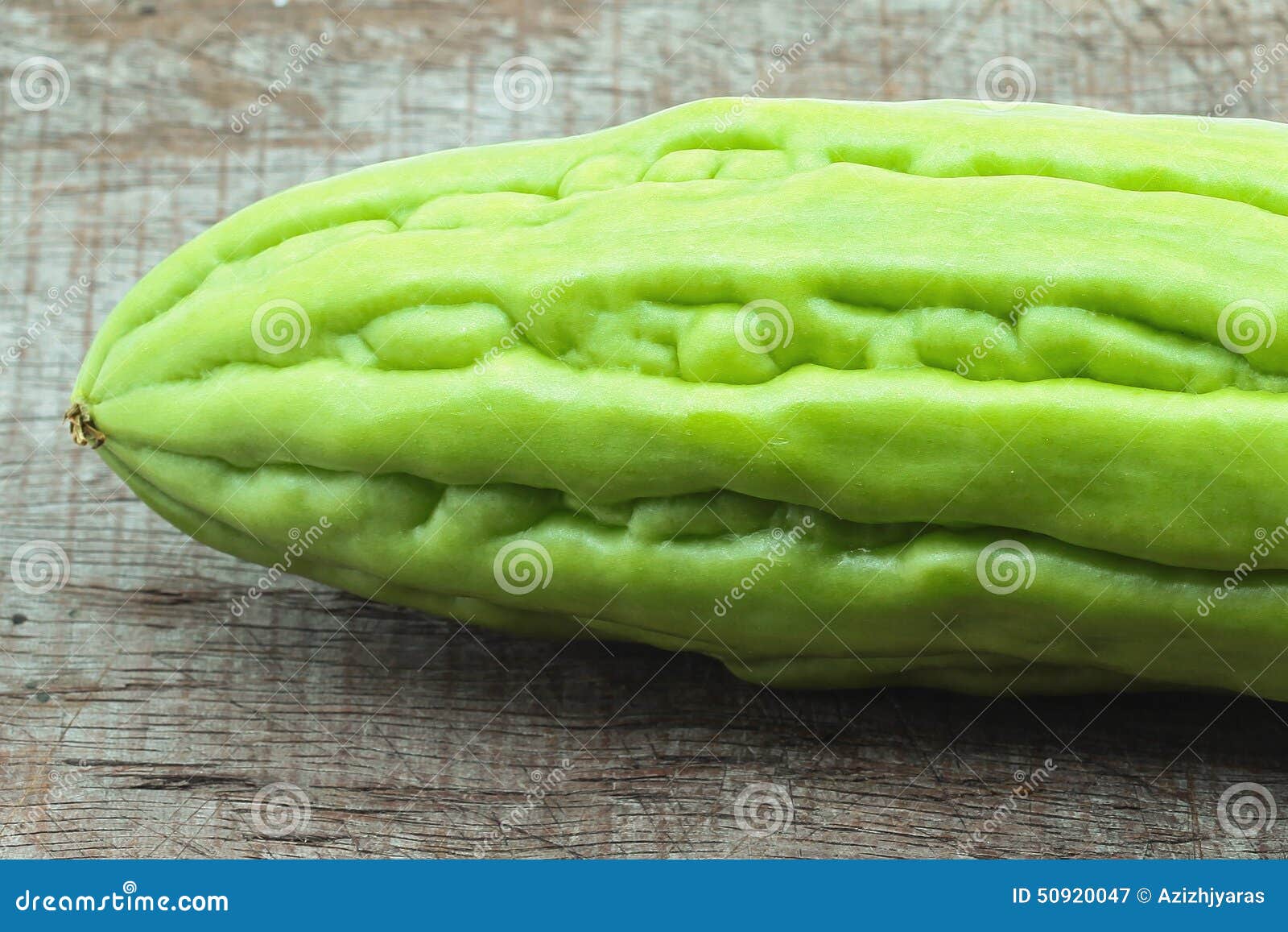Bittergourd stock image. Image of bittergourd, balsam - 50920047