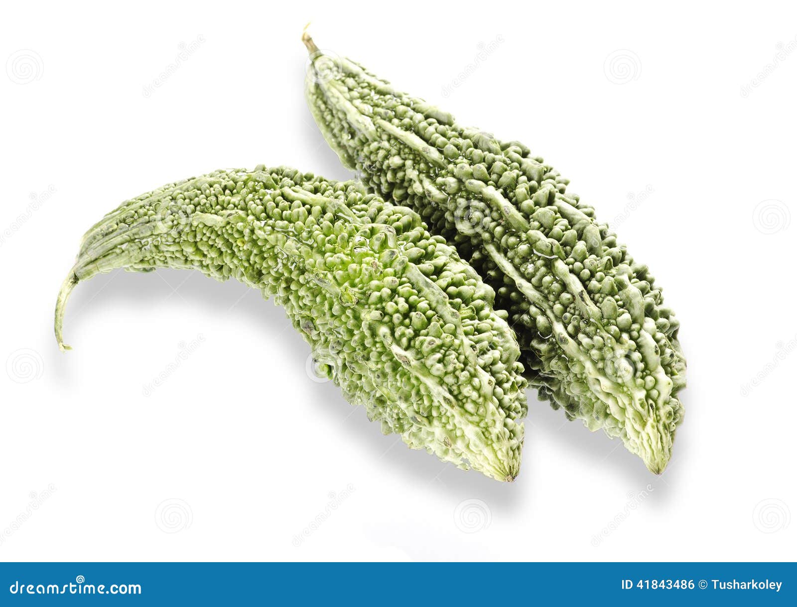 Bittergourd stock photo. Image of balsam, macro, bittergourd - 41843486