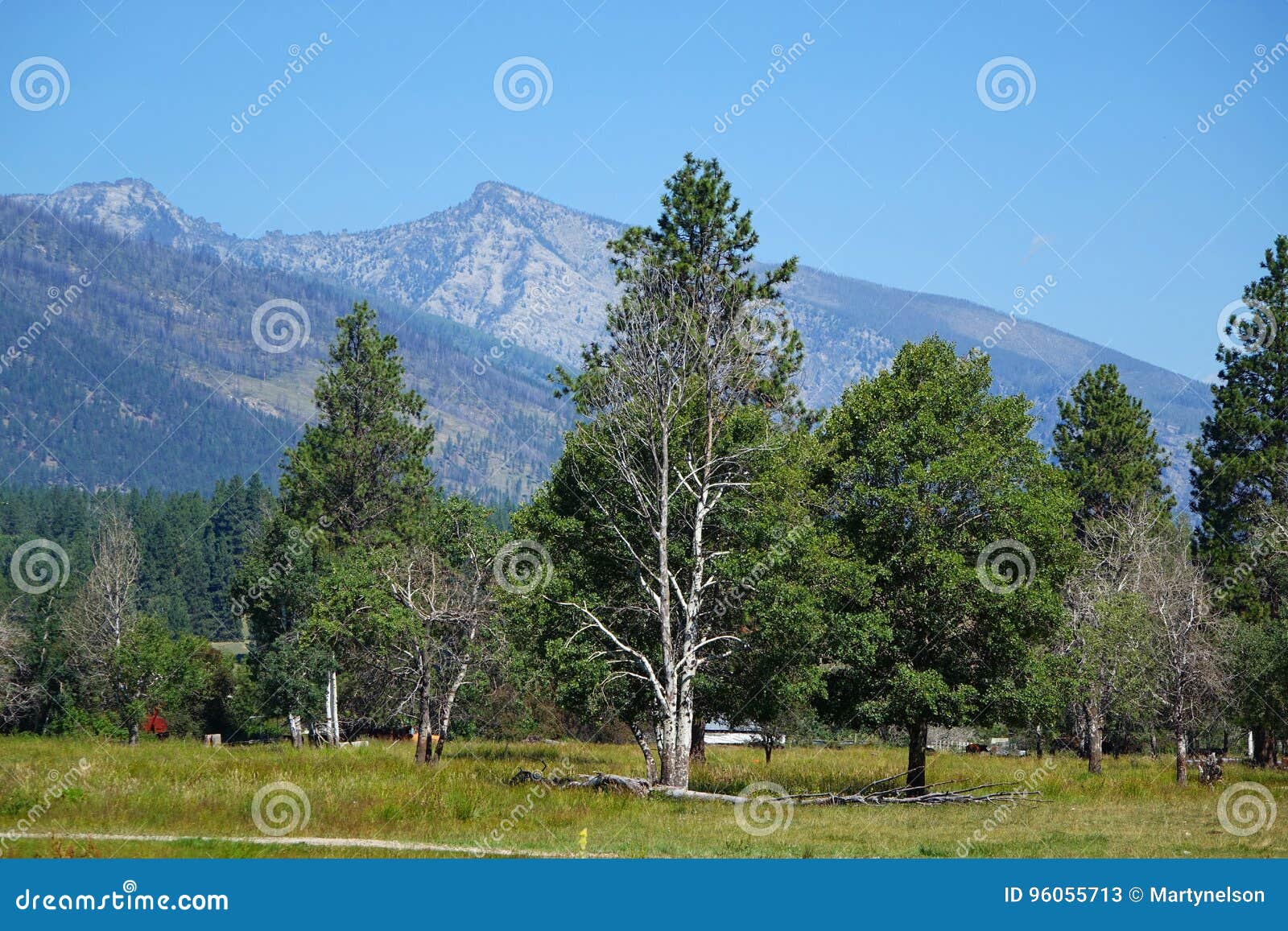 Bitterroot Mountains - Montana Stock Image - Image of landmarks ...