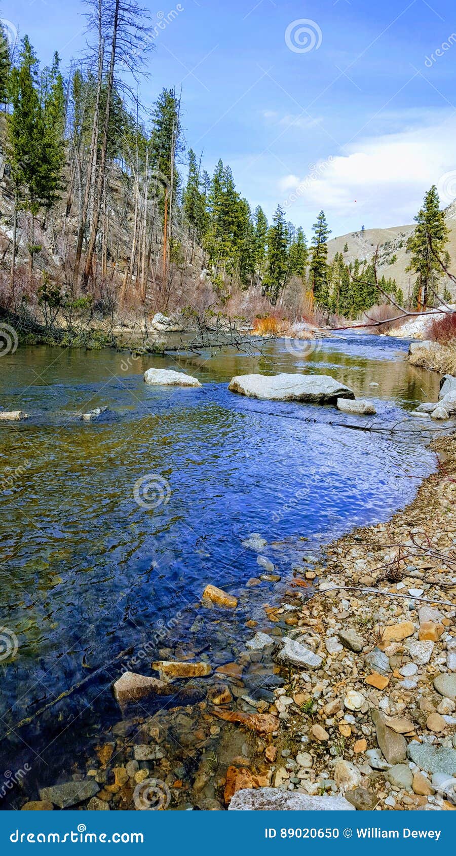 BITTERROOT RIVER stock photo. Image of rock, fork, river - 89020650