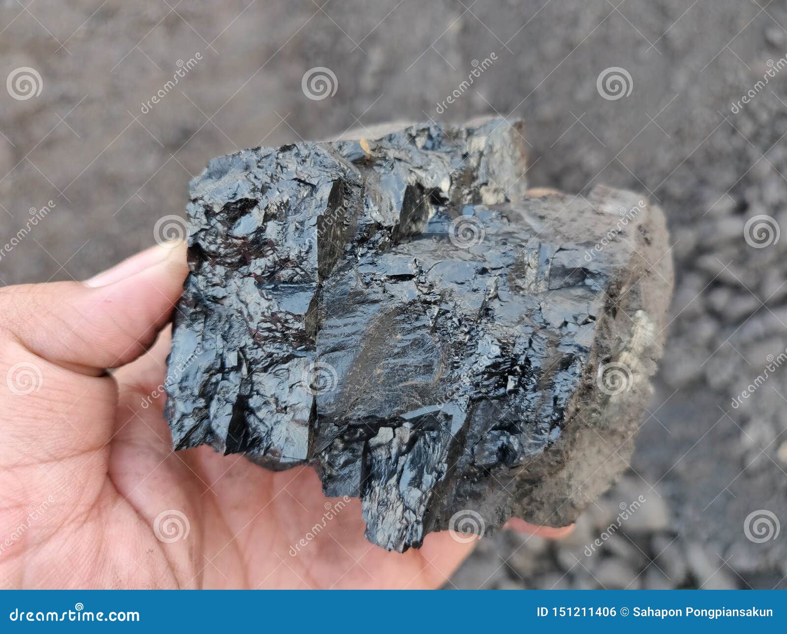 Bitumeux - Charbon Anthracite En Main Photo stock - Image du brun, fond ...