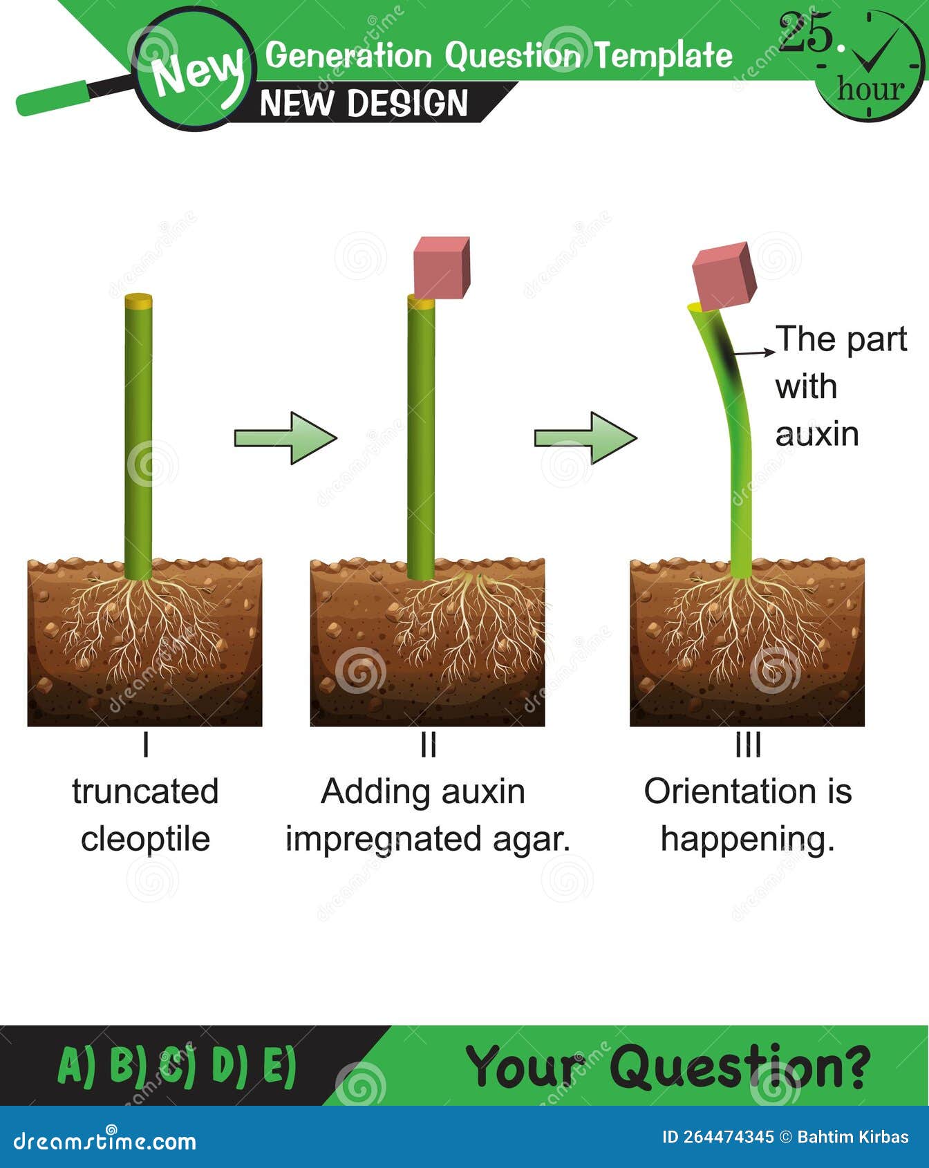 Biology - Lecture Notes, Plant Physiology Stock Illustration ...