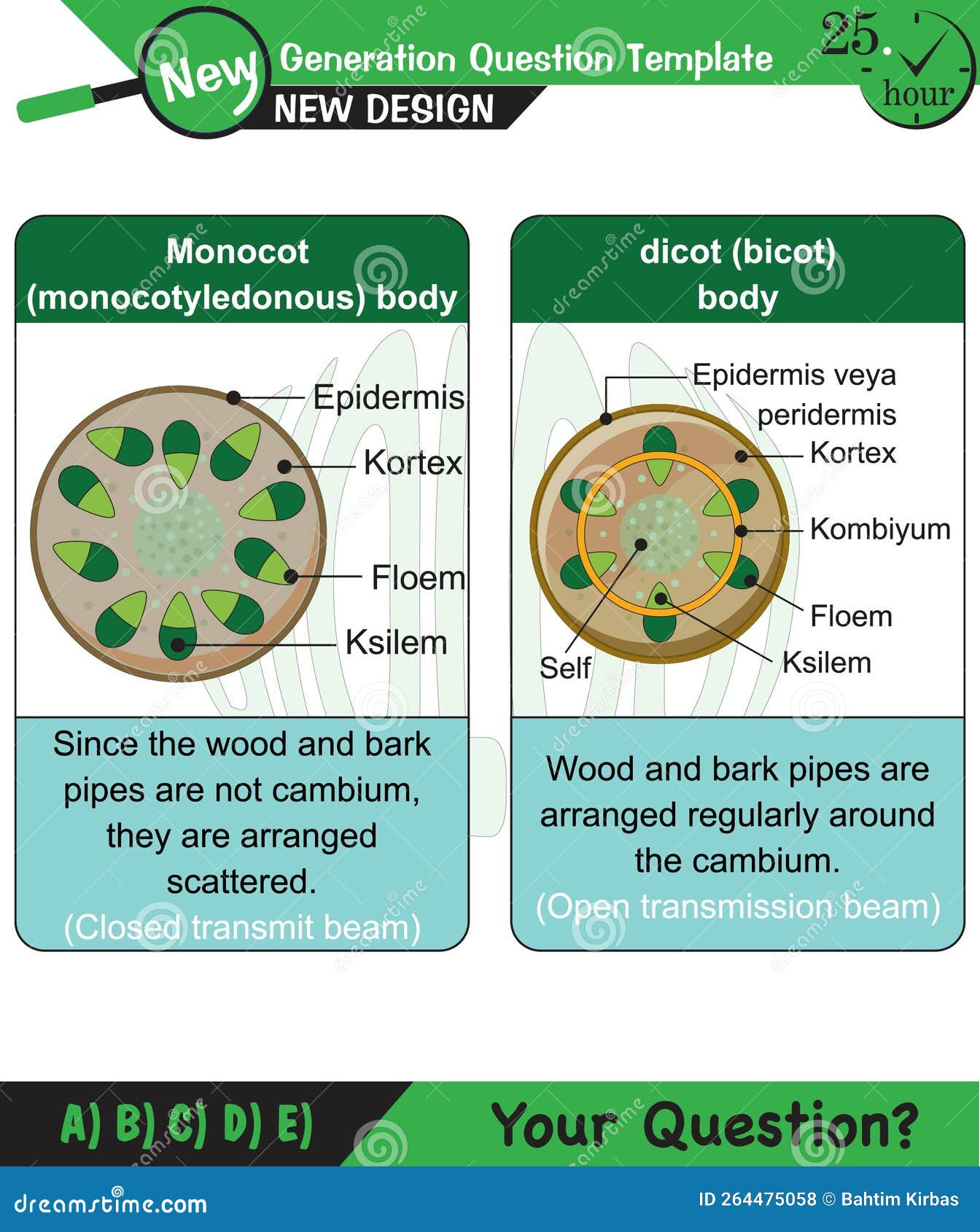 Biology - Lecture Notes, Plant Physiology Stock Vector - Illustration ...