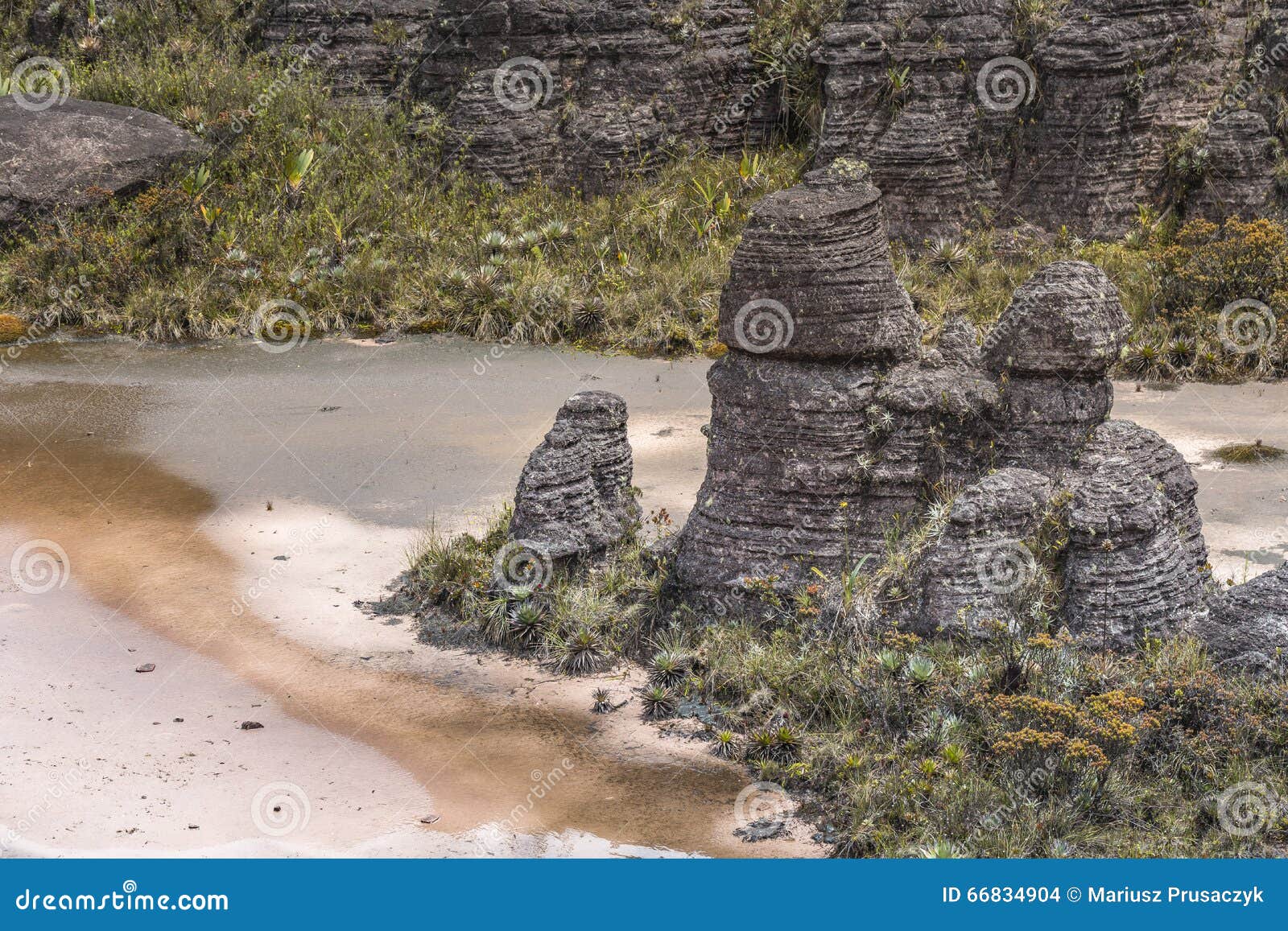 Bizarre Ancient Rocks of the Plateau Roraima Tepui - Venezuela, Stock ...