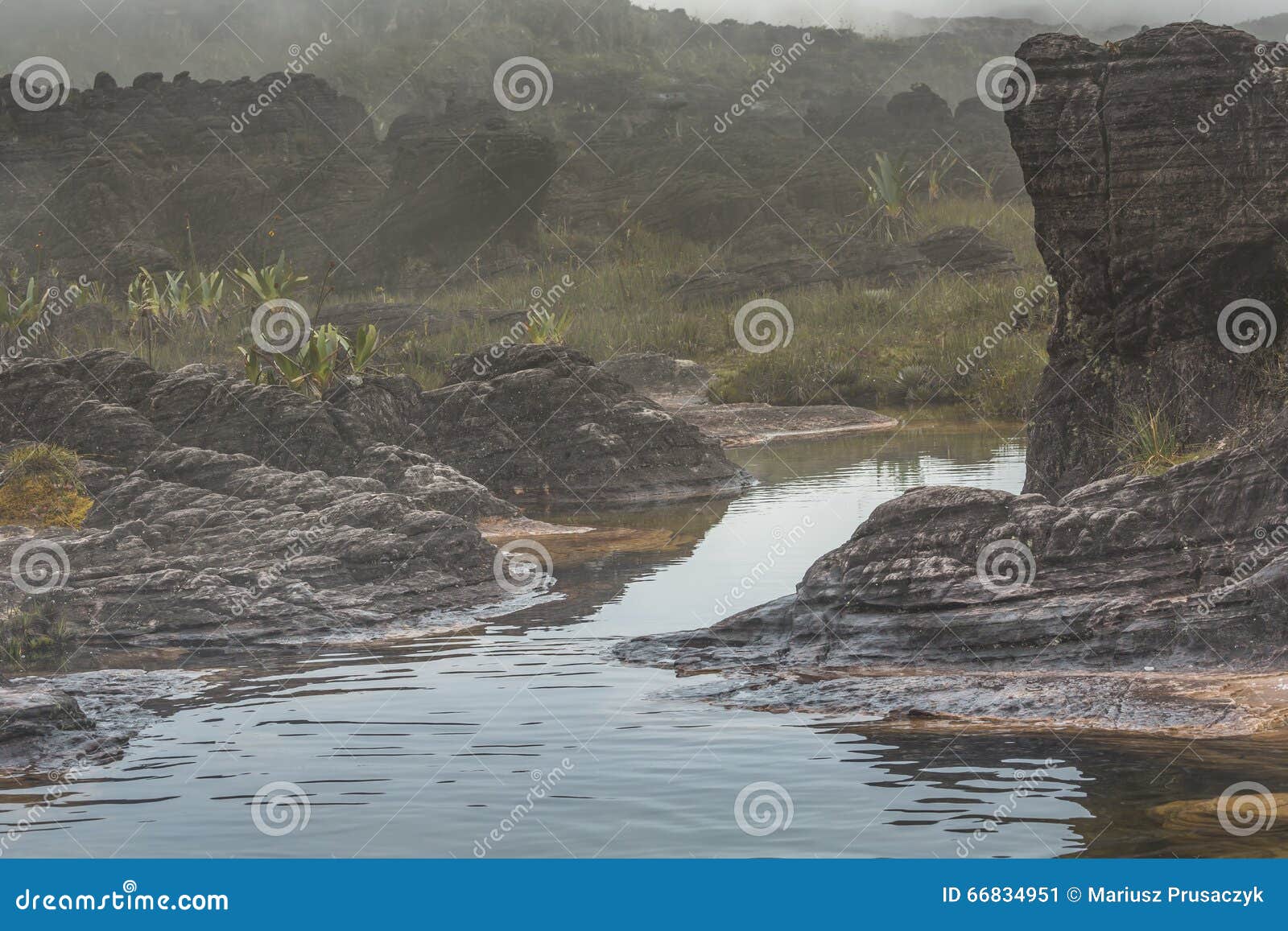 Bizarre Ancient Rocks of the Plateau Roraima Tepui - Venezuela, Stock ...