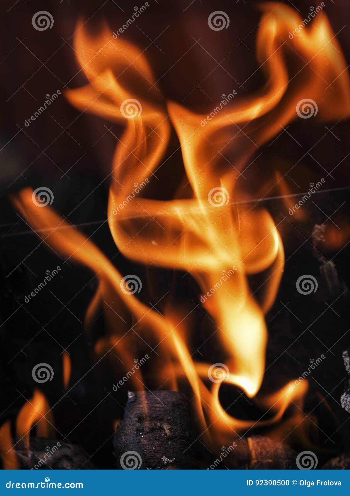 Bizarre flames stock photo. Image of nature, bizarre - 92390500