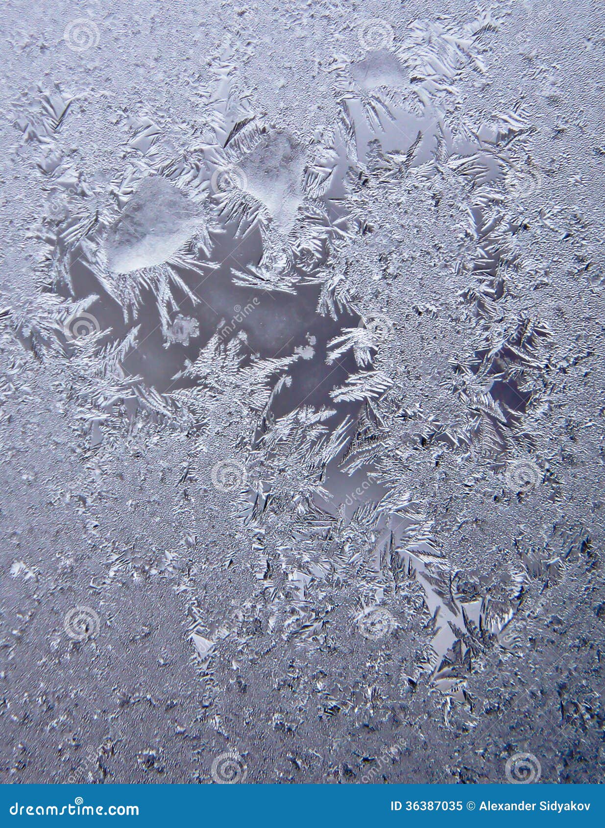 Bizarre Frost on Winter Window Glass. Stock Image - Image of icicle ...
