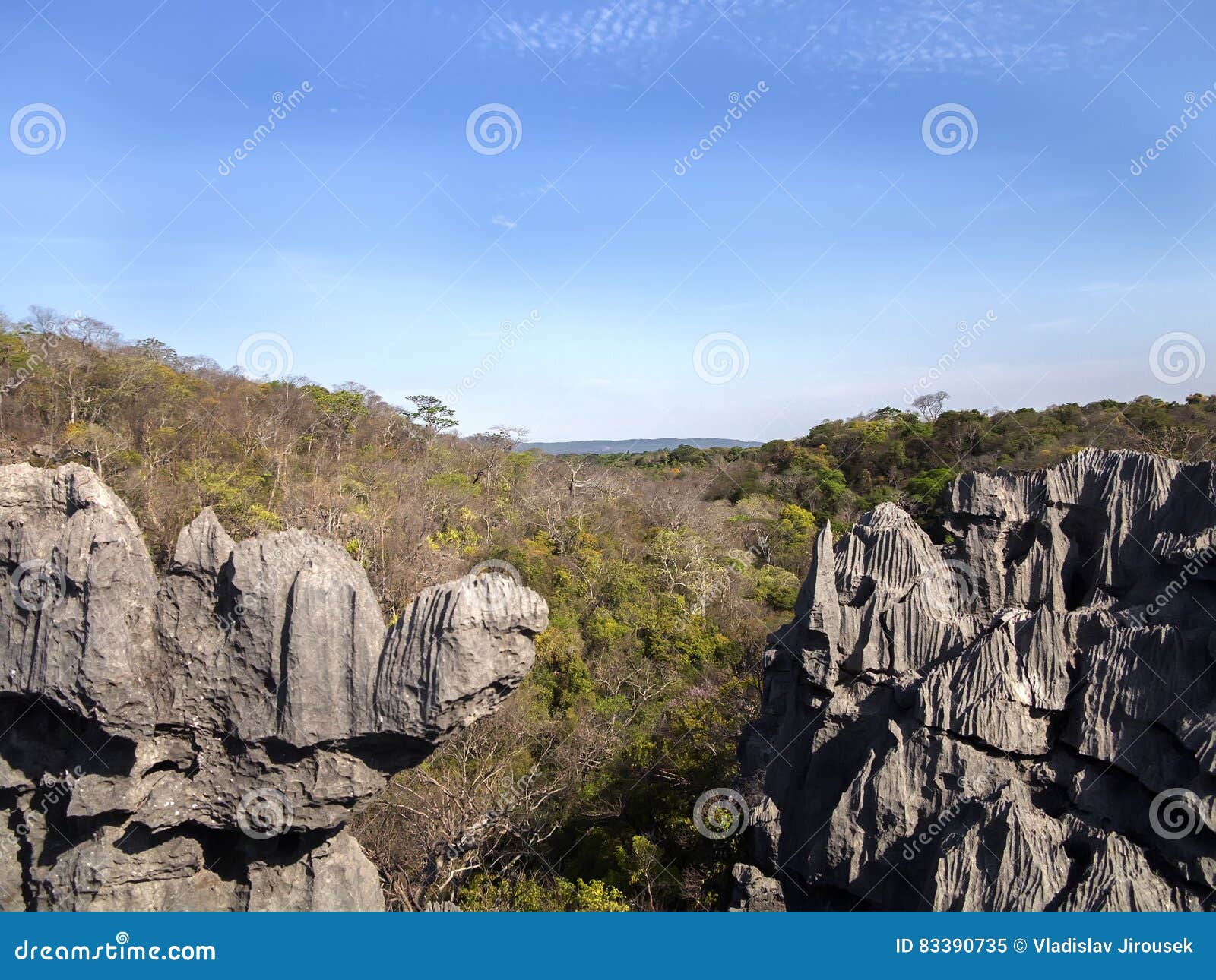 Bizarre Limestone Rock Formations - Tsingy, Reserve Ankarana ...