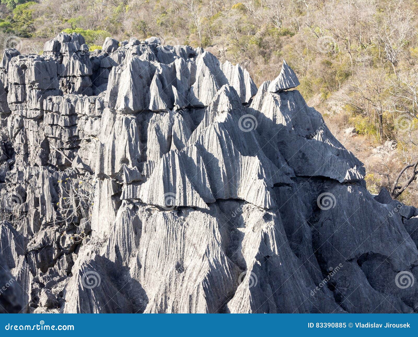 Bizarre Limestone Rock Formations - Tsingy, Reserve Ankarana ...