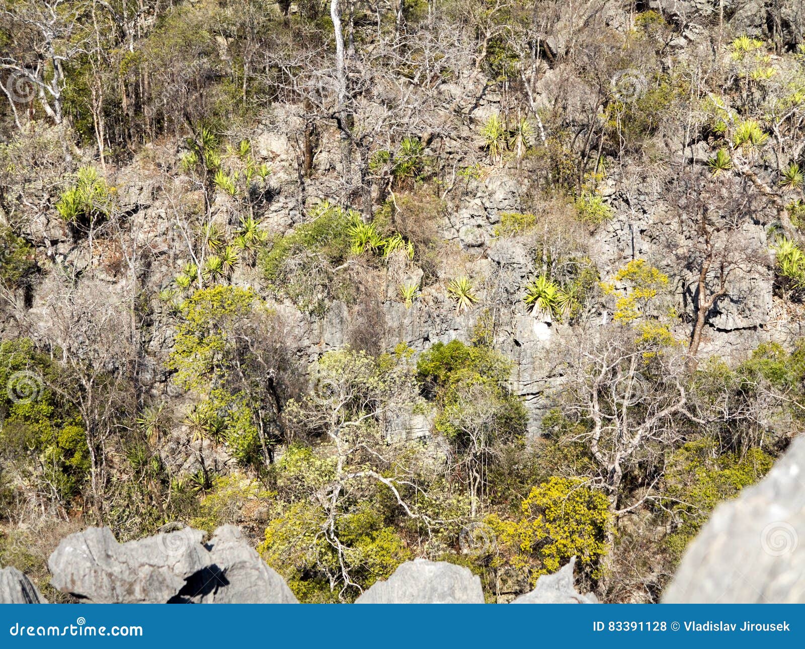 Bizarre Limestone Rock Formations - Tsingy, Reserve Ankarana ...