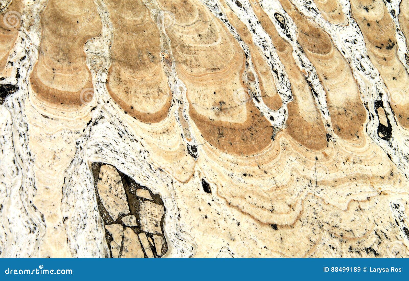 Bizarre Patterns on the Stone Slice Stock Image - Image of stain ...